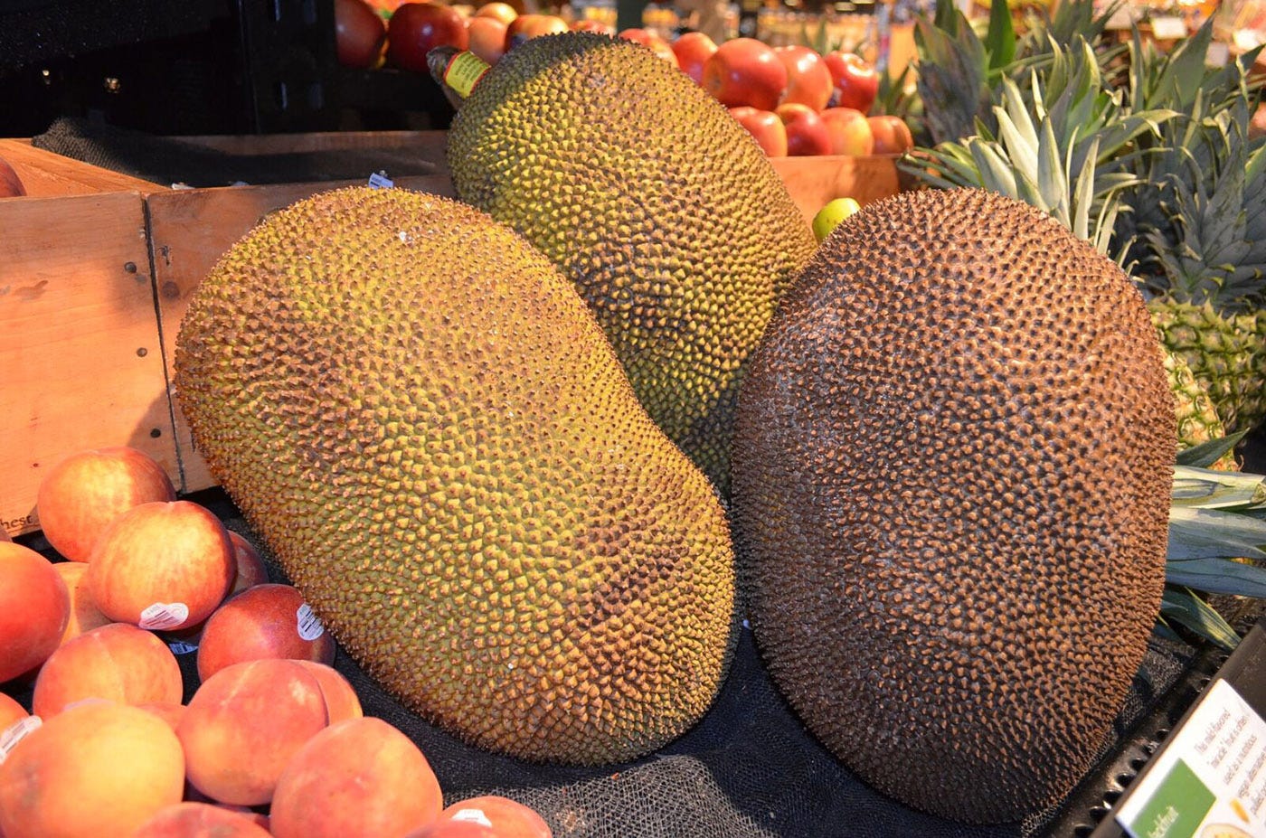 Jackfruit recipes: Best tips on buying, handling, eating, cooking it