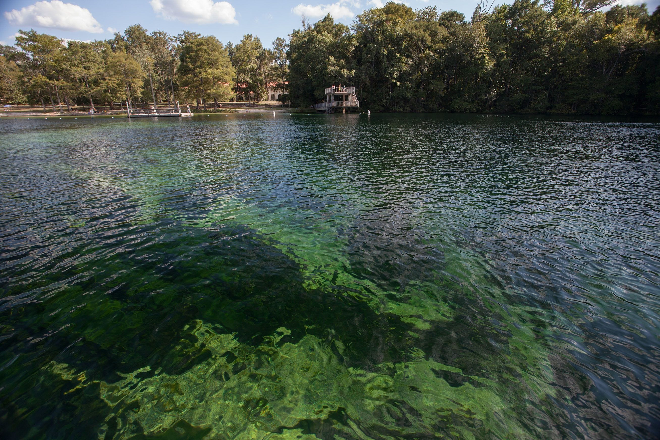 Wakulla Springs Cleanup Plan On Hold, DEP Swamped By BMAP Protests ...