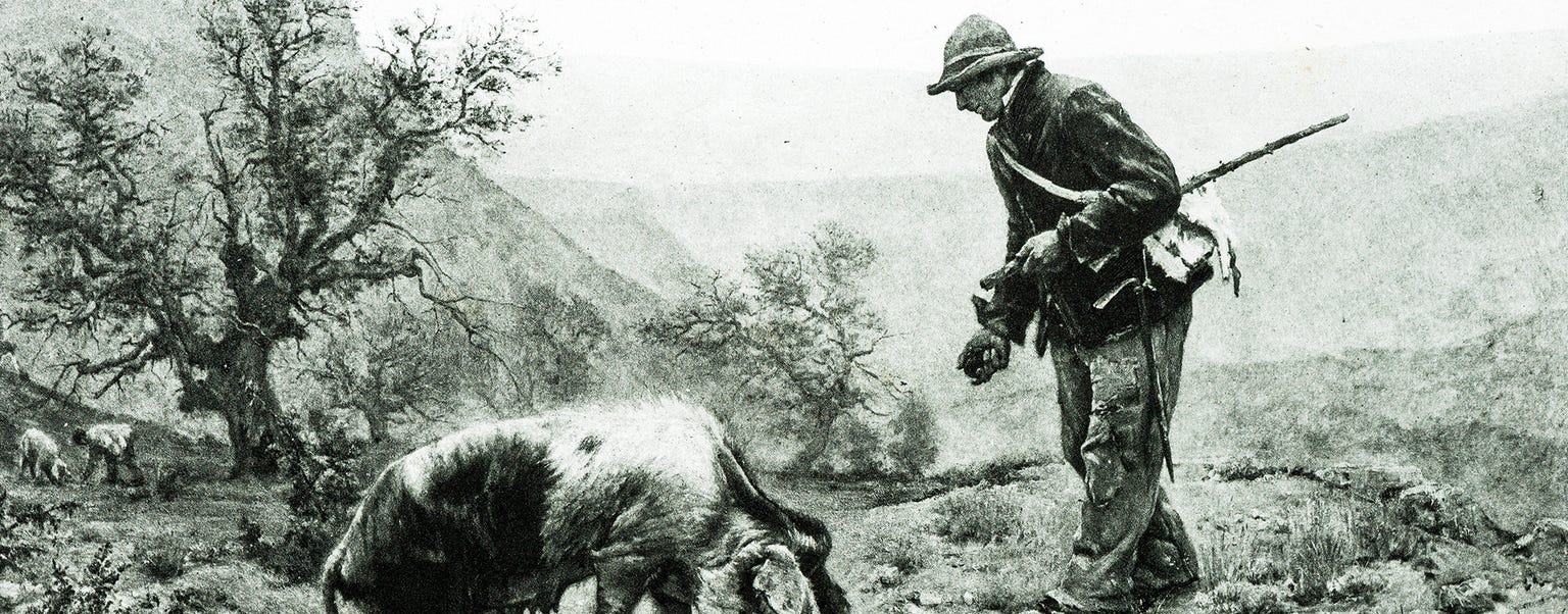 Truffles: Why are they so expensive?