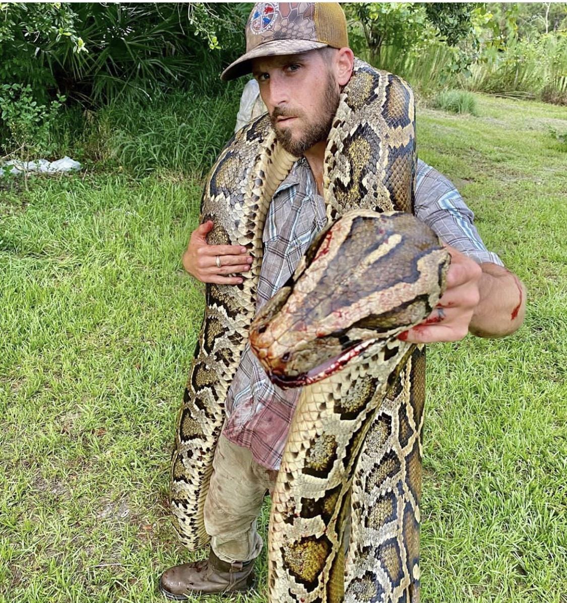 Hunting pythons: New ideas sought for catching snakes in Everglades