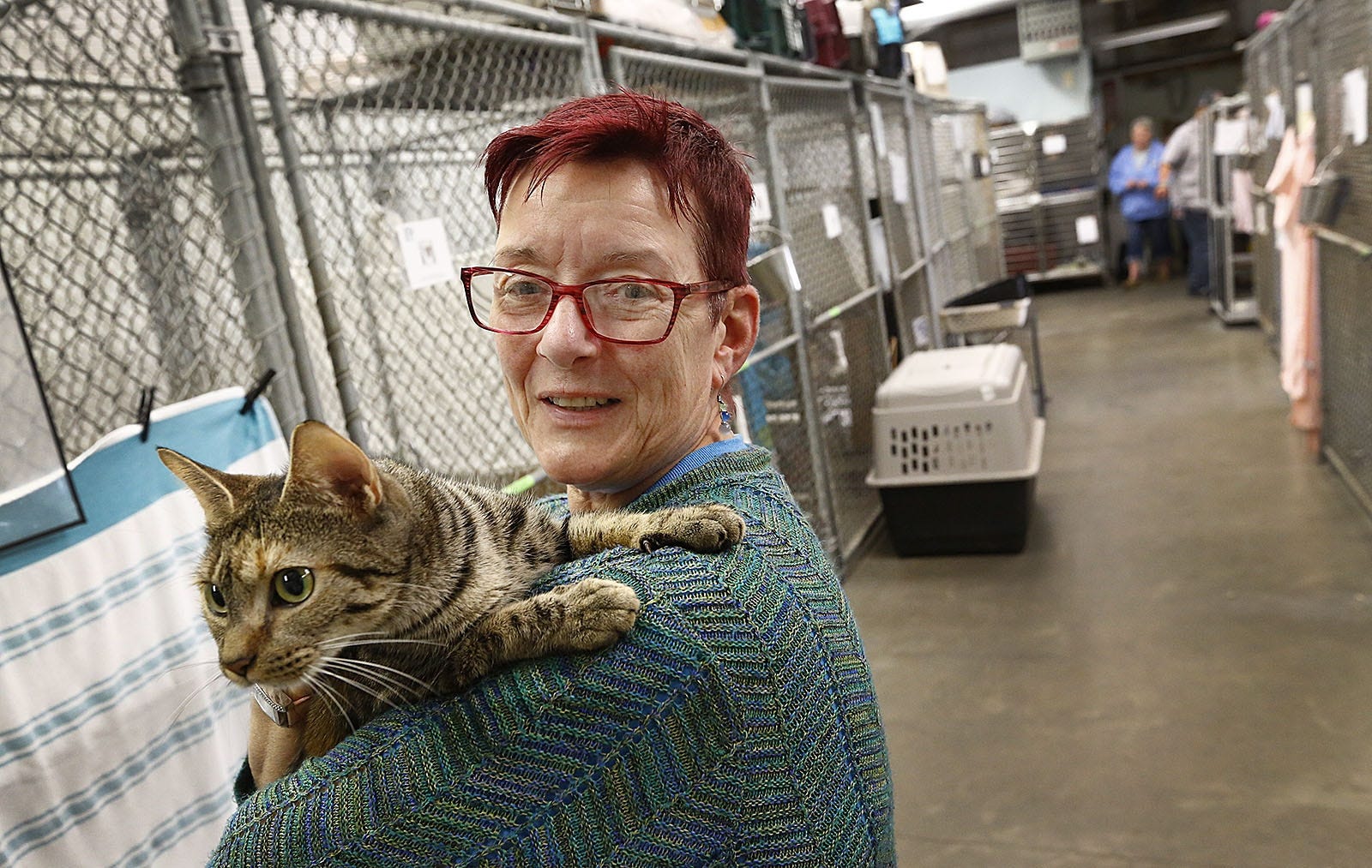 Four years later, little progress made on new Quincy Animal Shelter