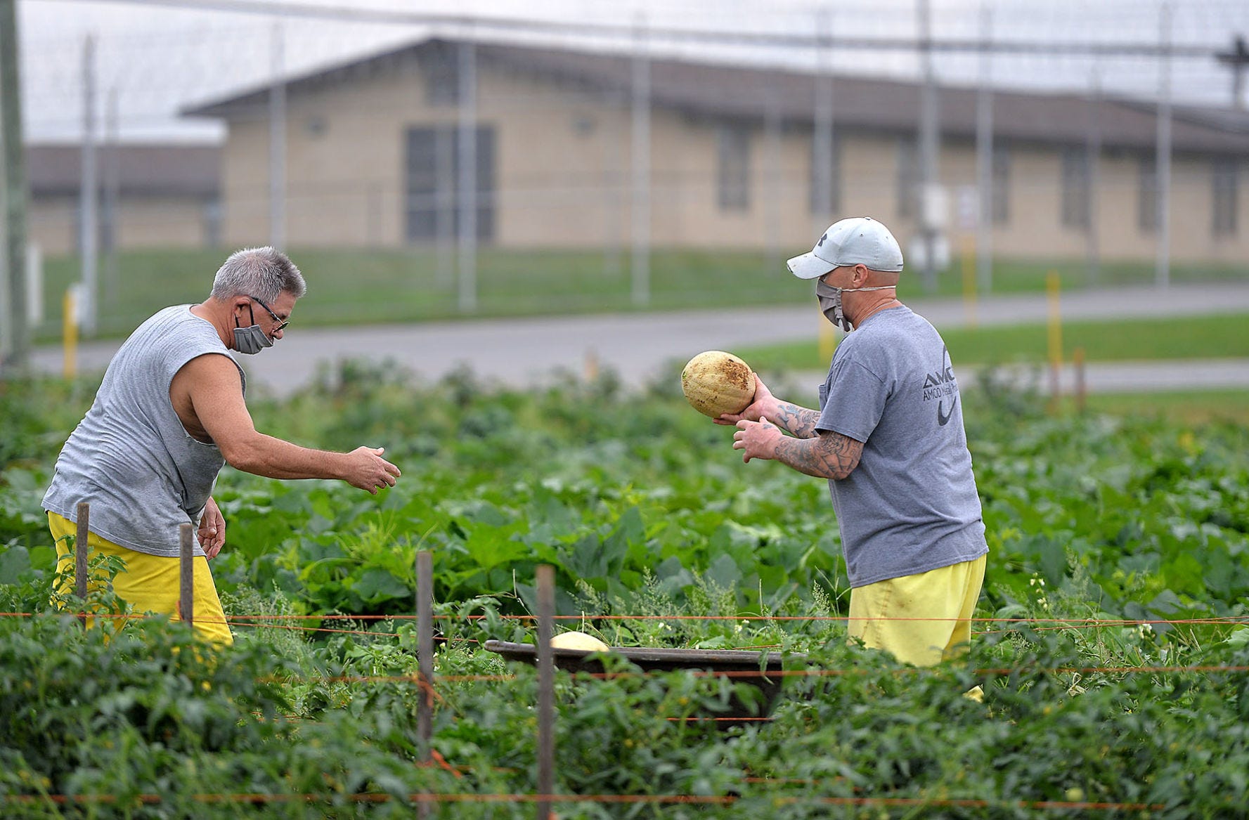 Prison garden benefits community