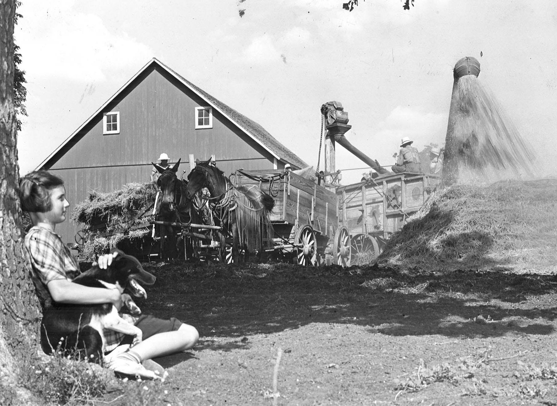 How a 93-year-old Iowa farmer became a viral video star