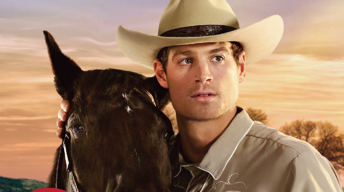Interview: Cathy McDavid, author of Aidan: Loyal Cowboy