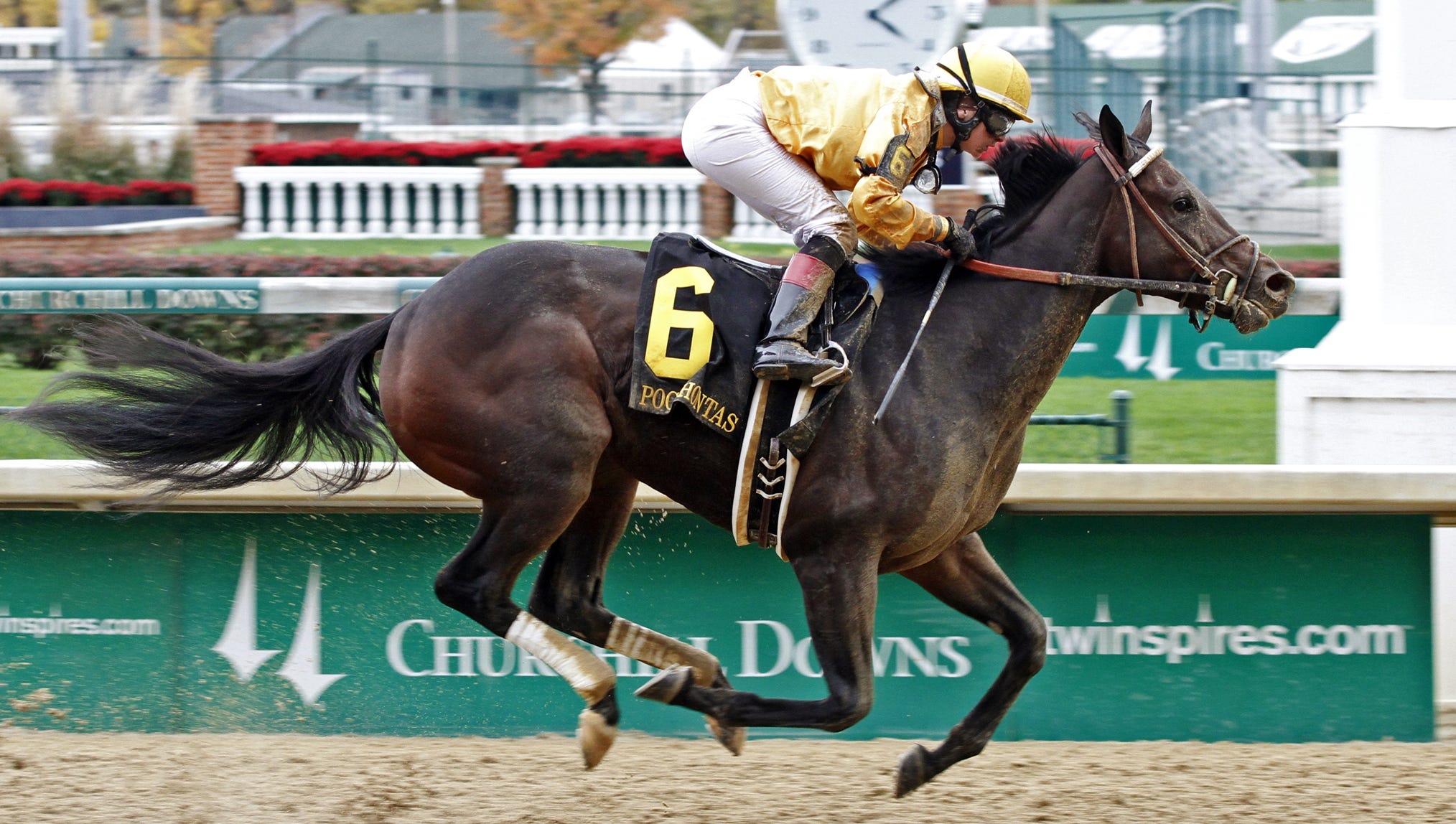 Uncaptured looks to get a leg up in Spiral Stakes