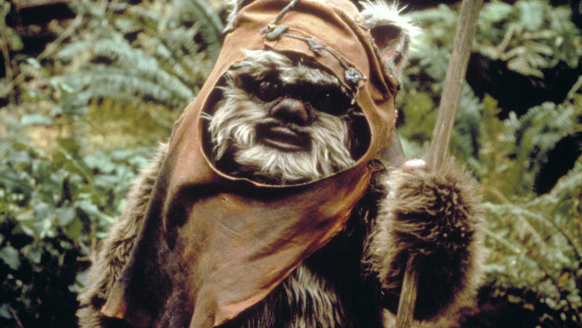 'Willow' celebrates 25th anniversary with new Blu-ray