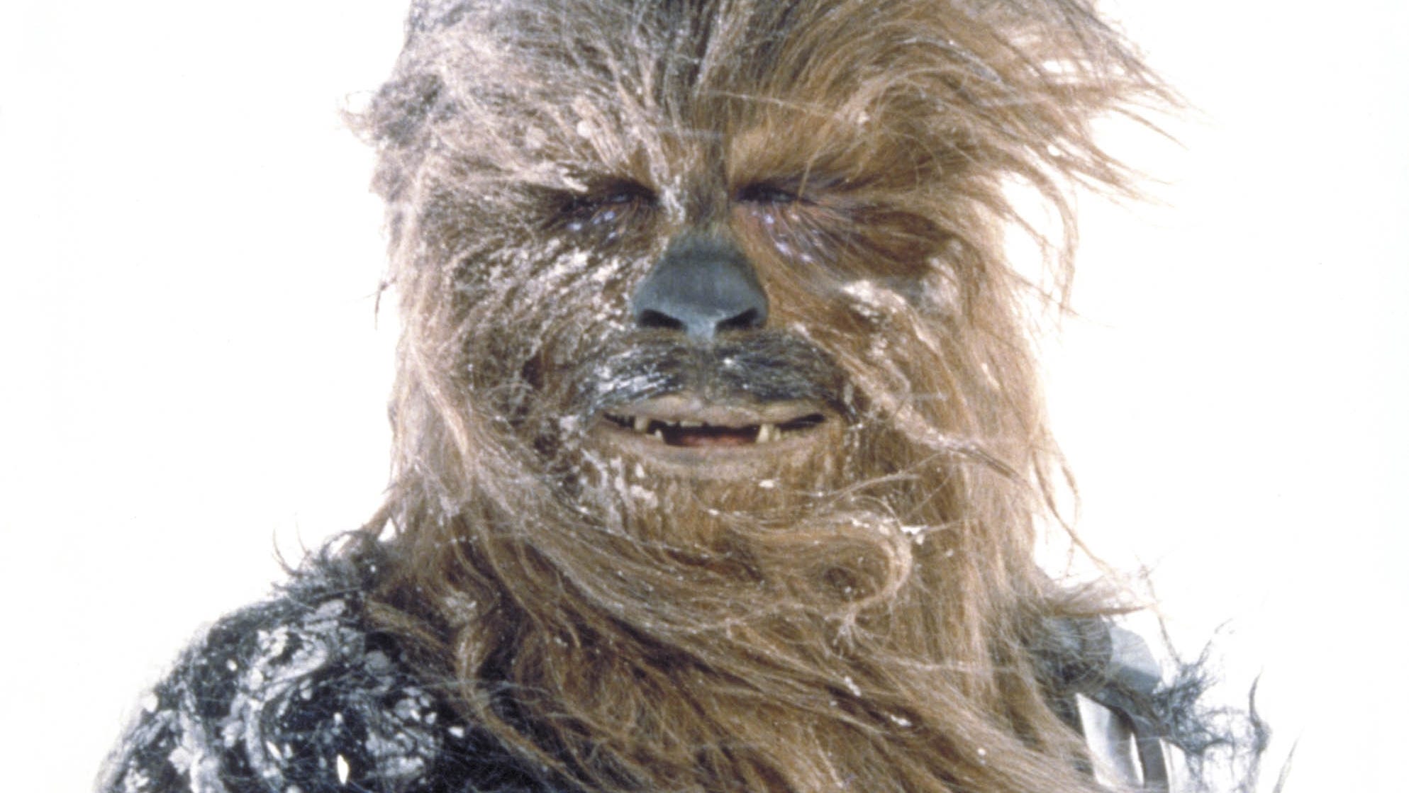 Readers embrace their inner Wookiee for Chewbacca Vines