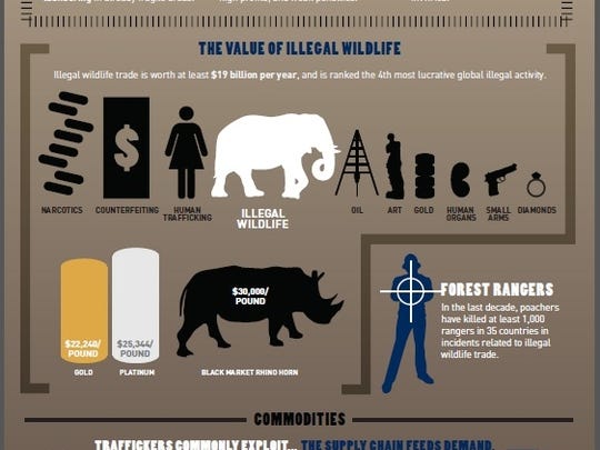 Illegal wildlife trade threatens international security