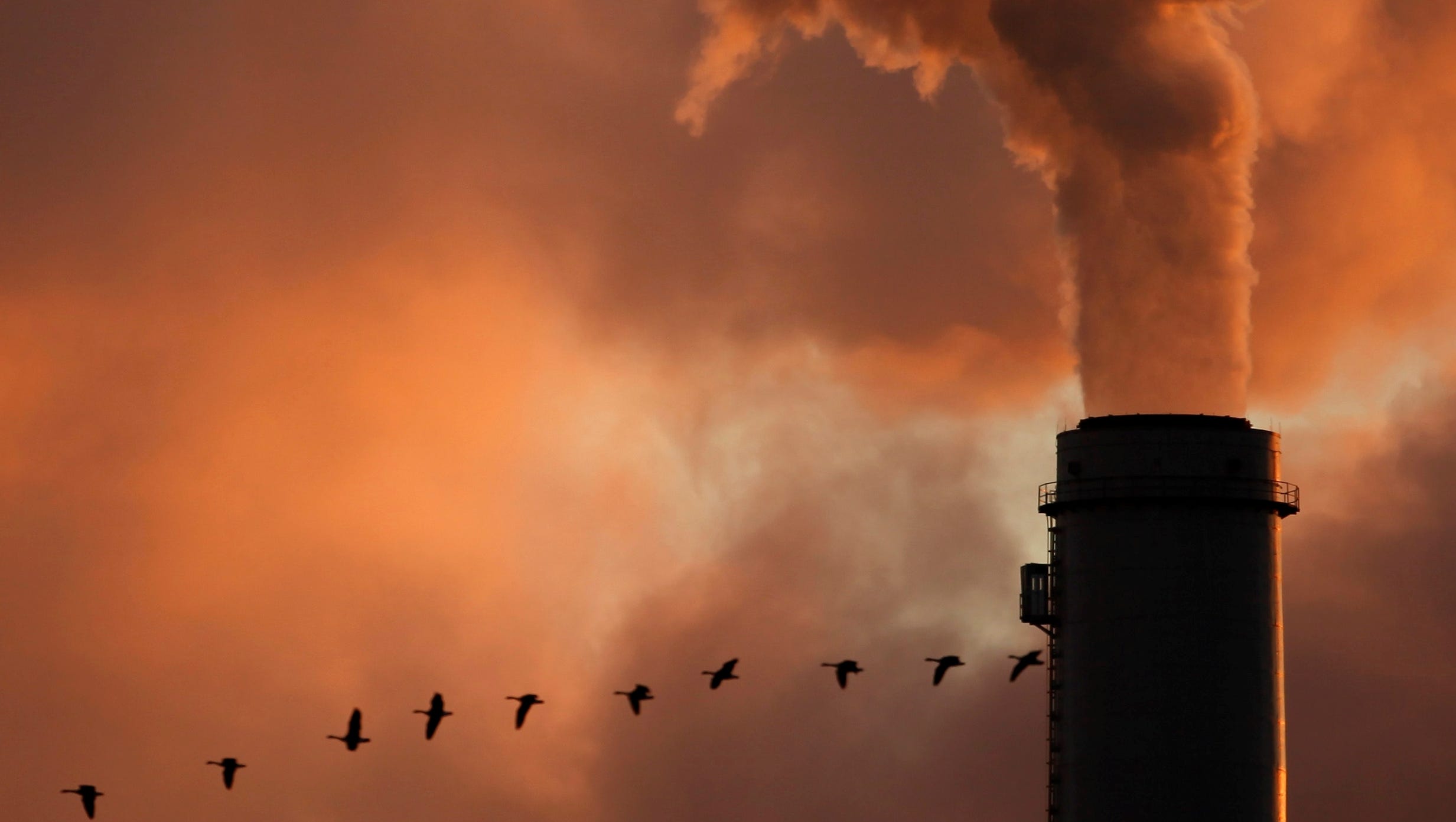 Multiple paths to combat climate change: Your Say