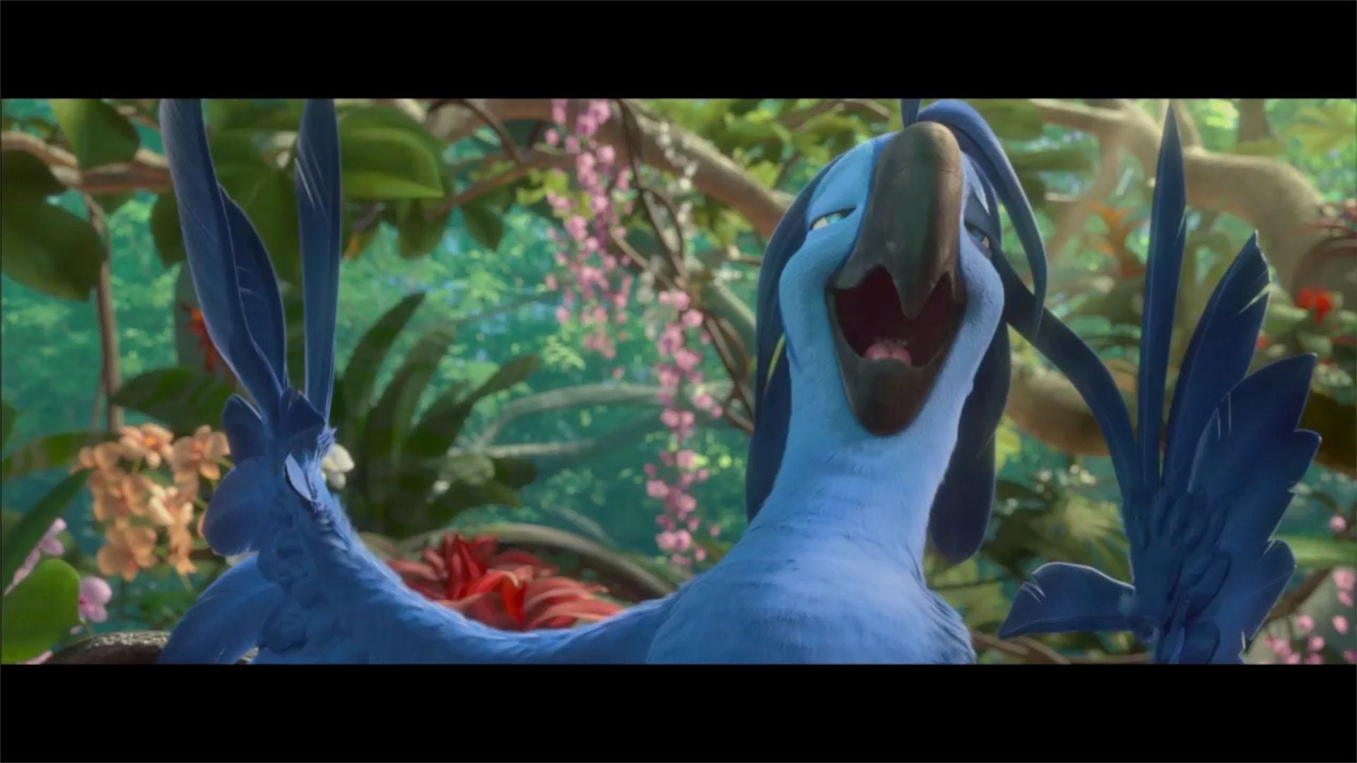 Vibrant 'Rio 2' feathers its nest with too many plots