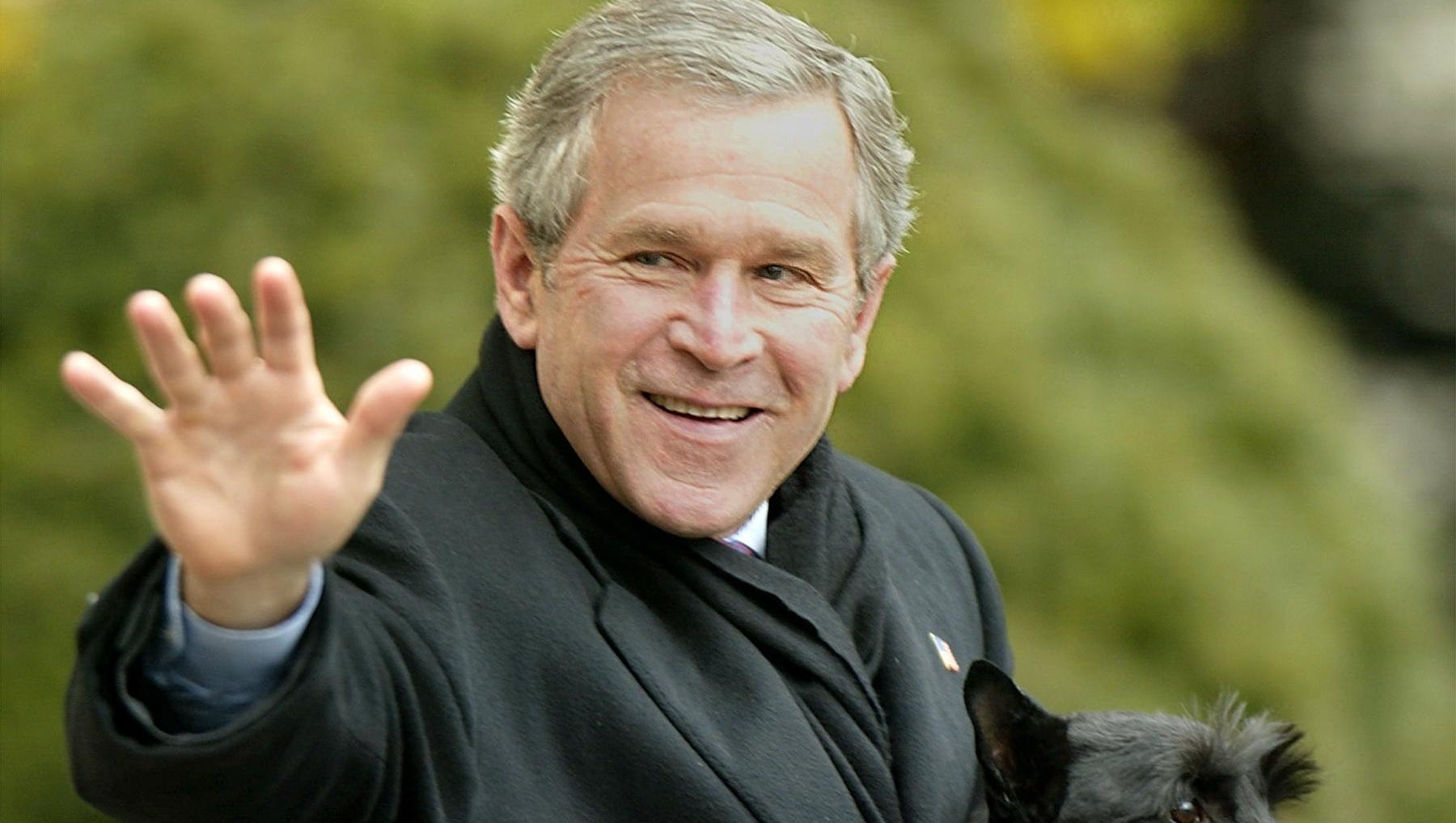 D.C.'s newest fascination: George W. Bush, the painter