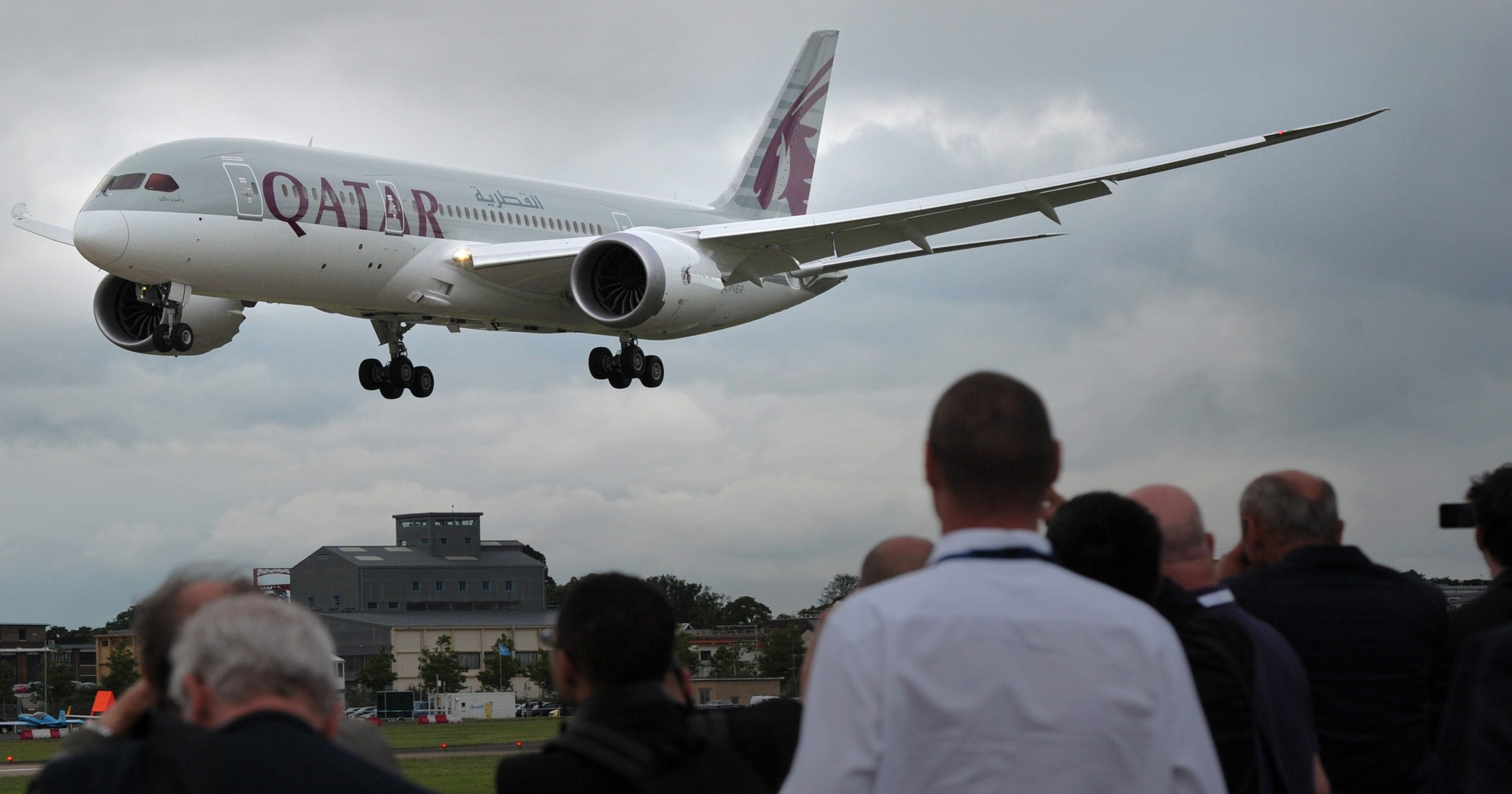 Global Dreamliner fleet now grounded