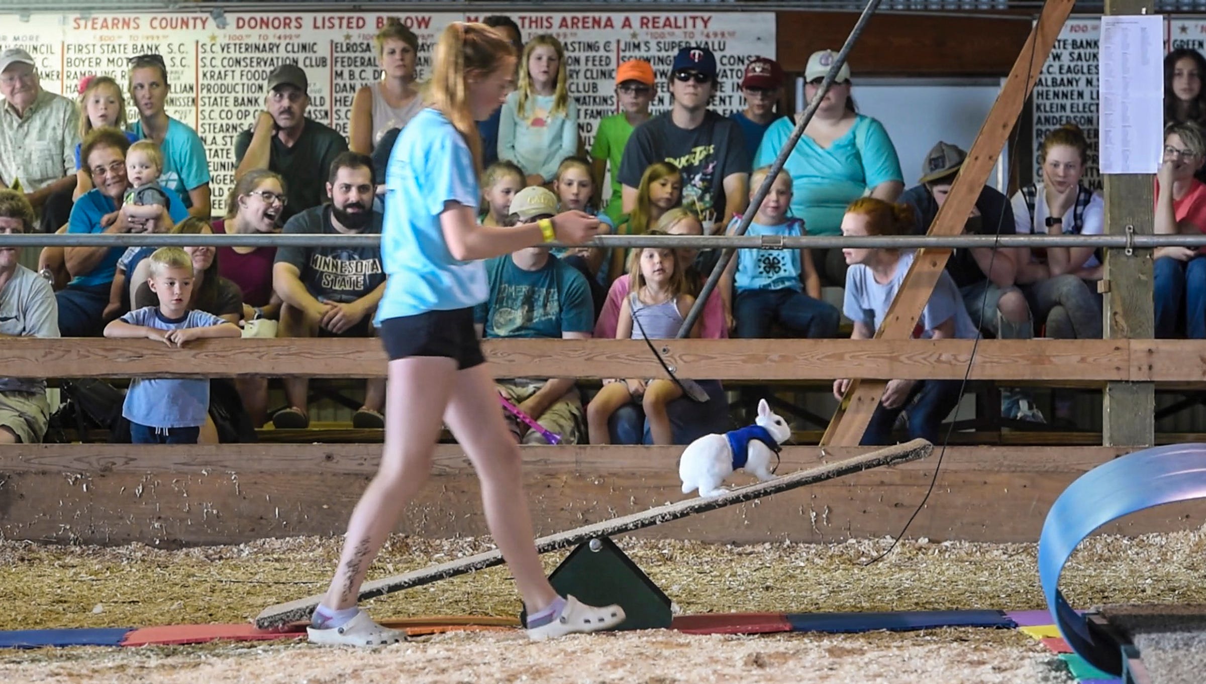 Rabbit agility is real and these Stearns County kids trained their ...
