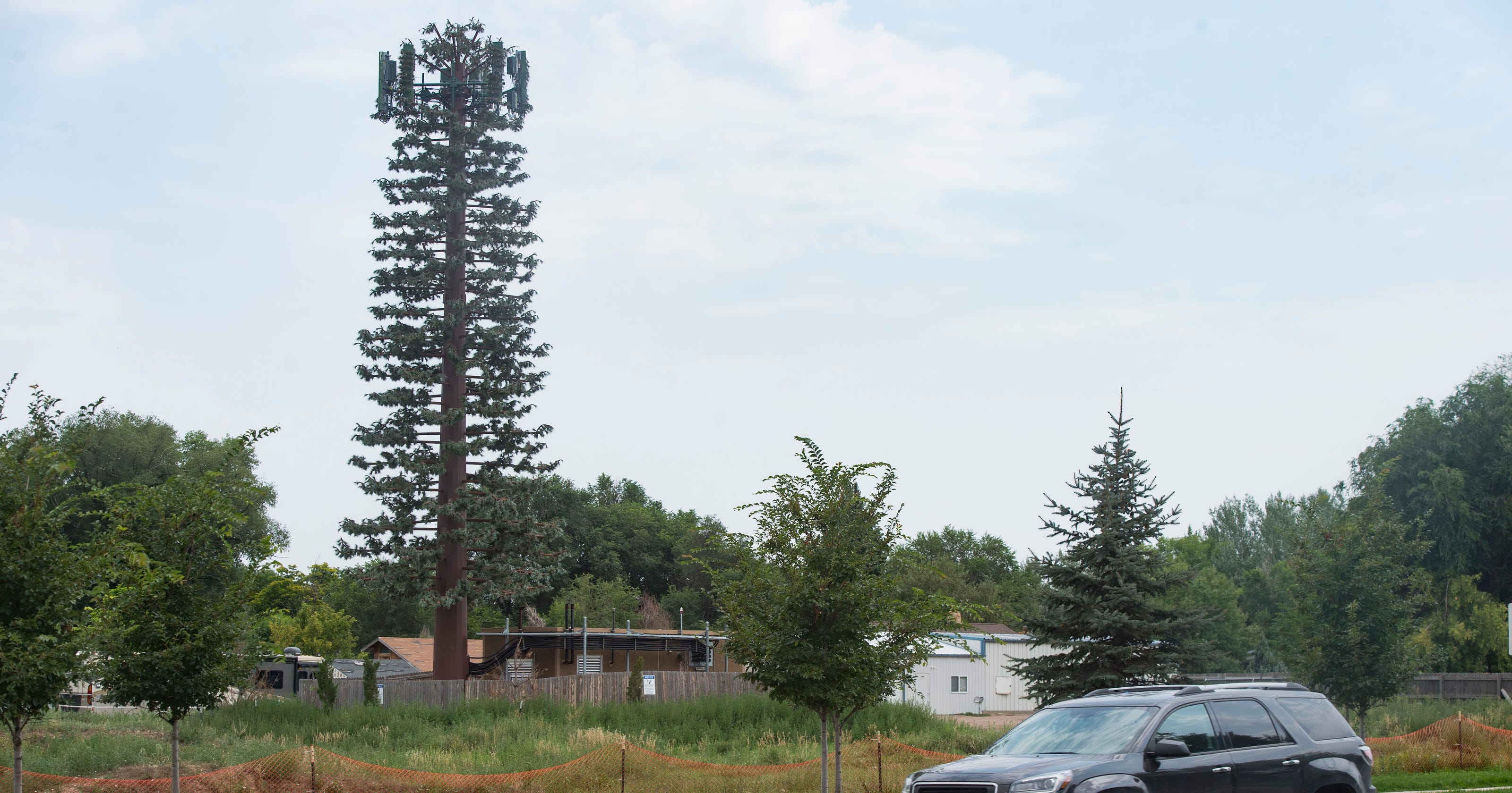 Disguised cell towers in Fort Collins: Church steeples, fake trees