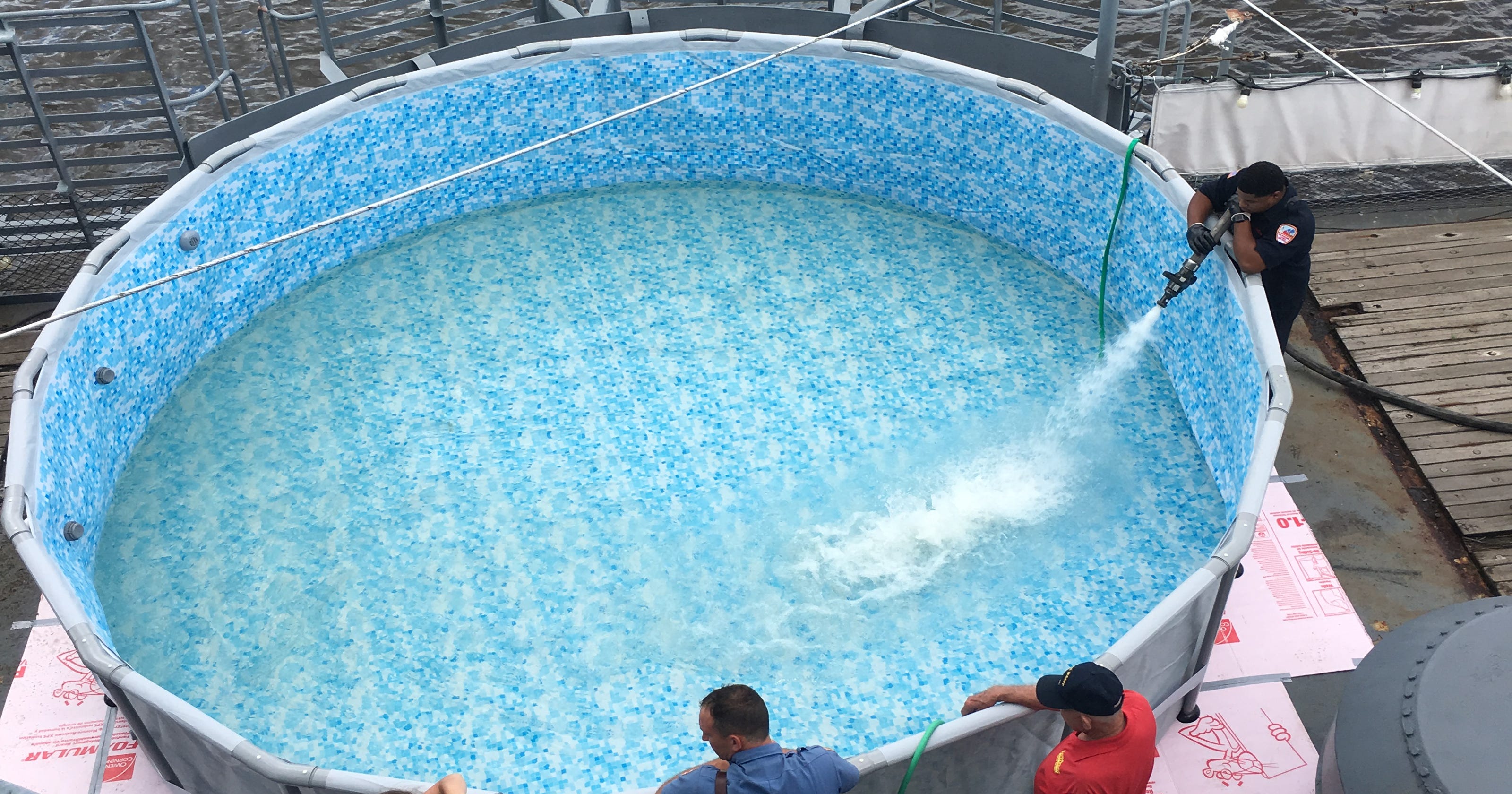 Take a dip in the battleship New Jersey pool on a museum tour.