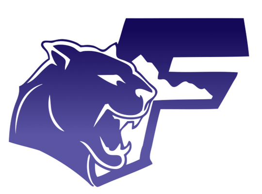 El Paso high school baseball: Game-winning single lifts Franklin to W