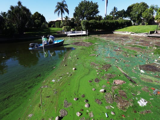 Florida algae crisis: Ecological Laboratories test pilot algae project
