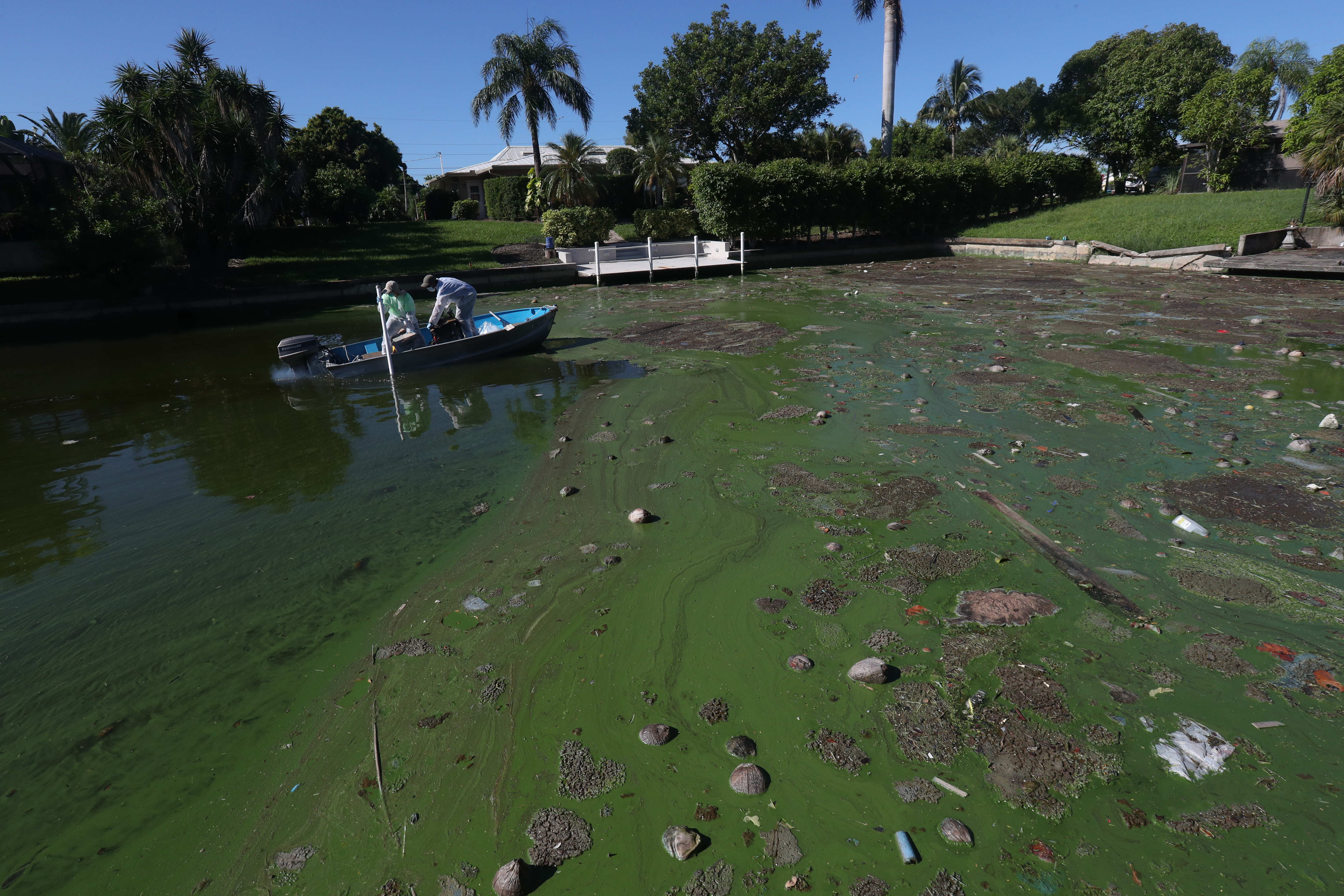 Florida algae crisis: Ecological Laboratories test pilot algae project