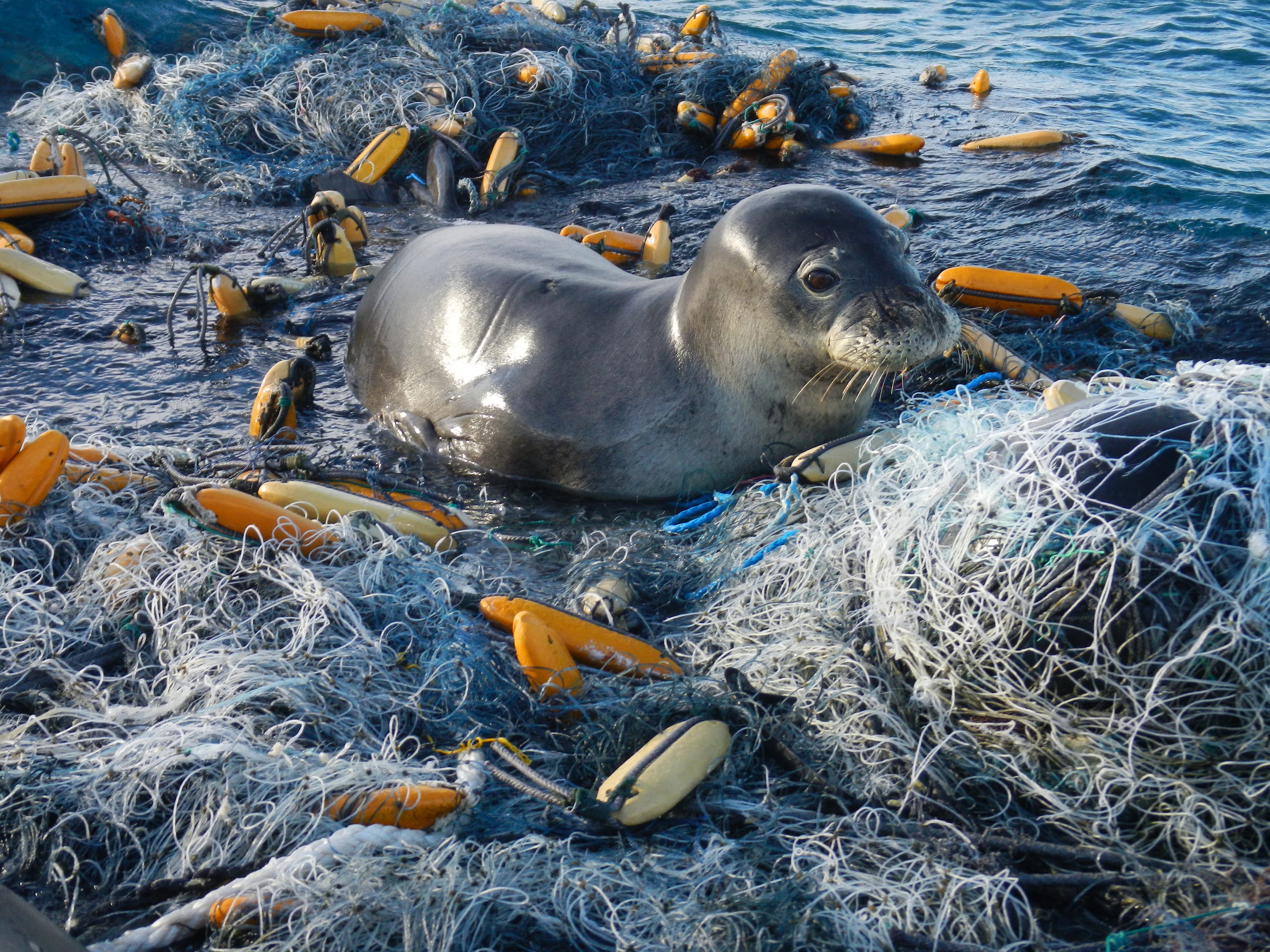 See how the Great Pacific Garbage Patch feeds off our throwaway culture