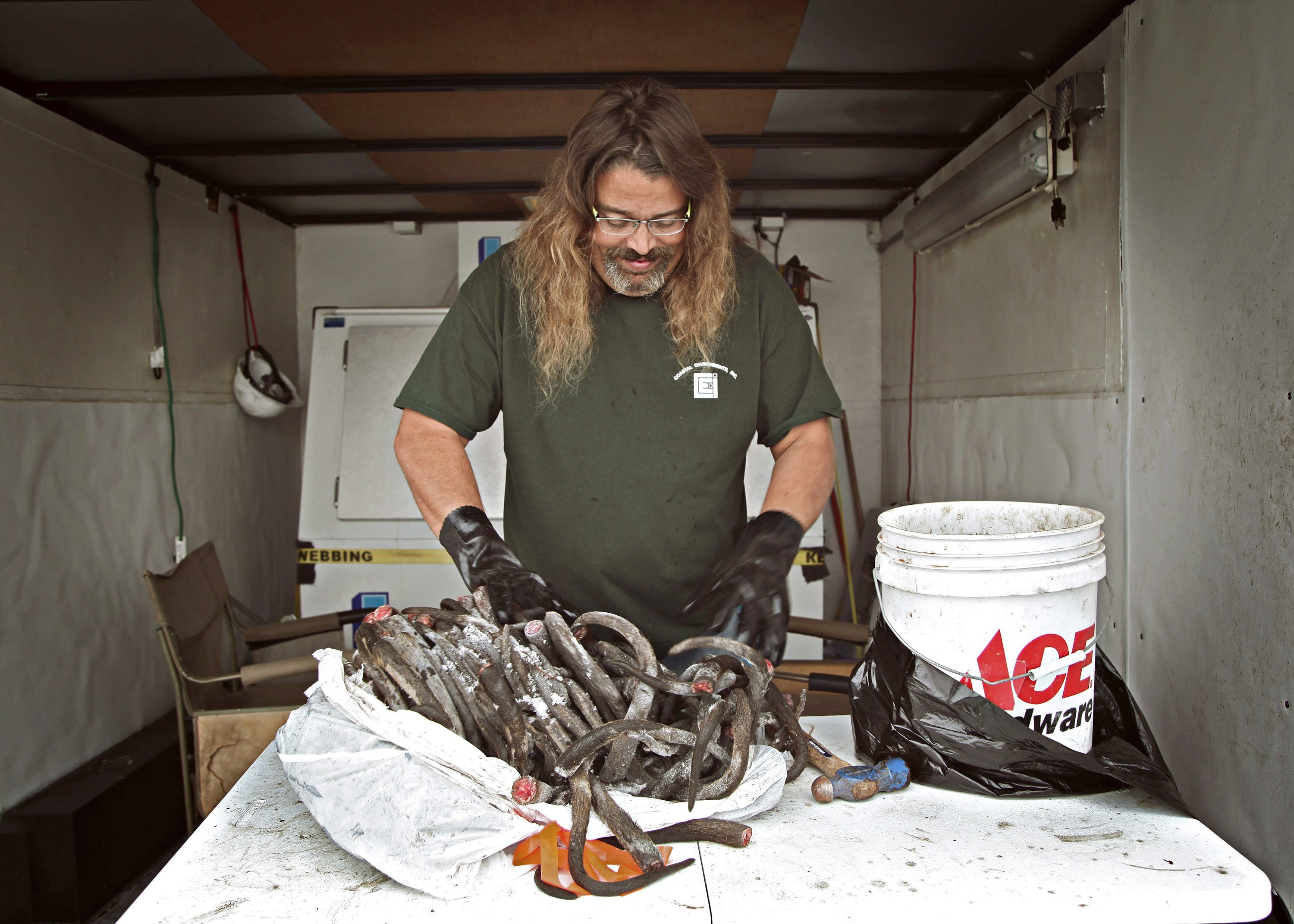 'Rodents of Unusual Size': Swamp rat documentary's 5 grossest moments