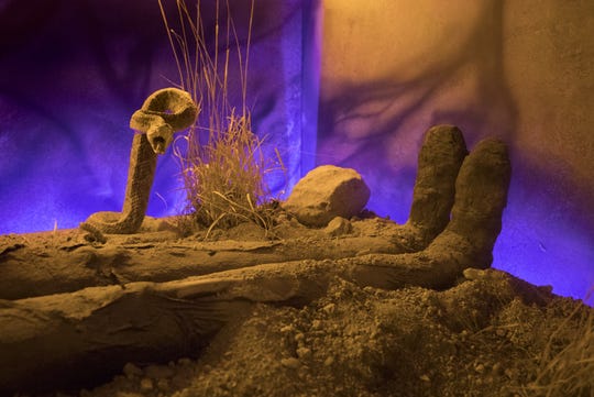 The Thing: Arizona's weirdest roadside attraction just got stranger