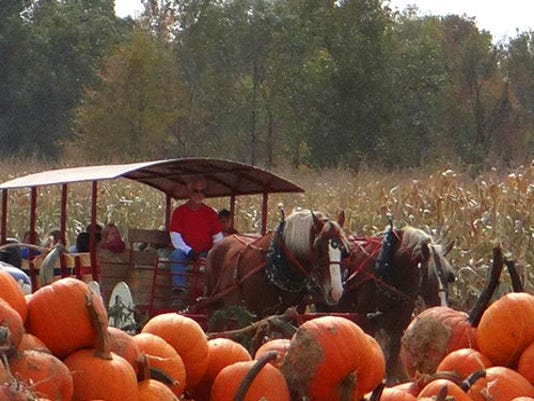 Shaw Farms: a place for pumpkins, history