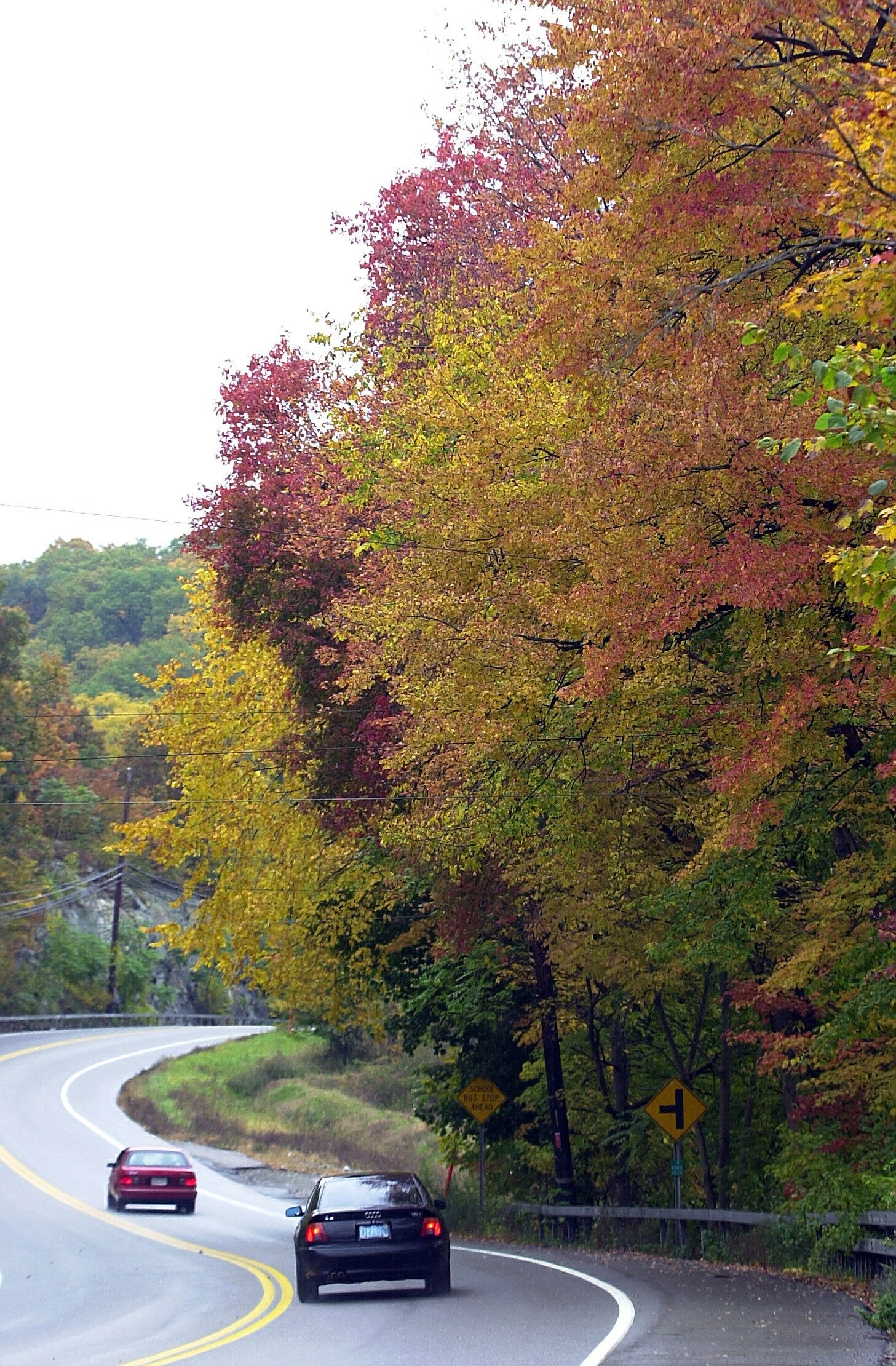 NY Fall Foliage 2018: Bear Mountain State Park