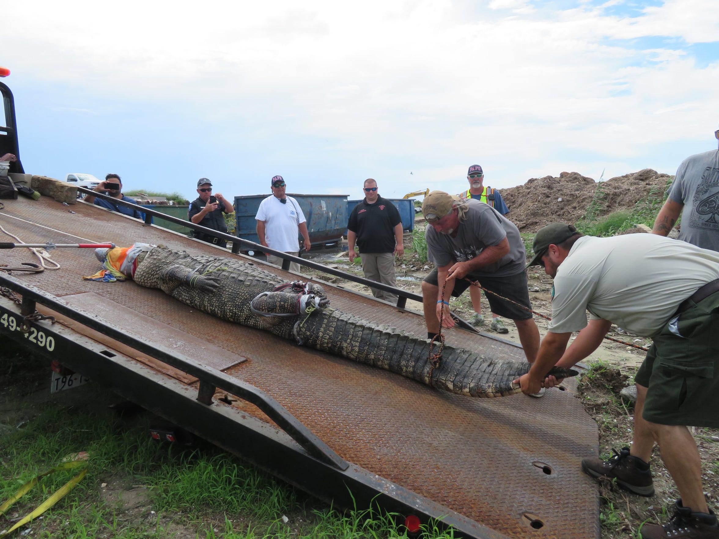 This is what happened when a 12 gator showed up in Port Aransas