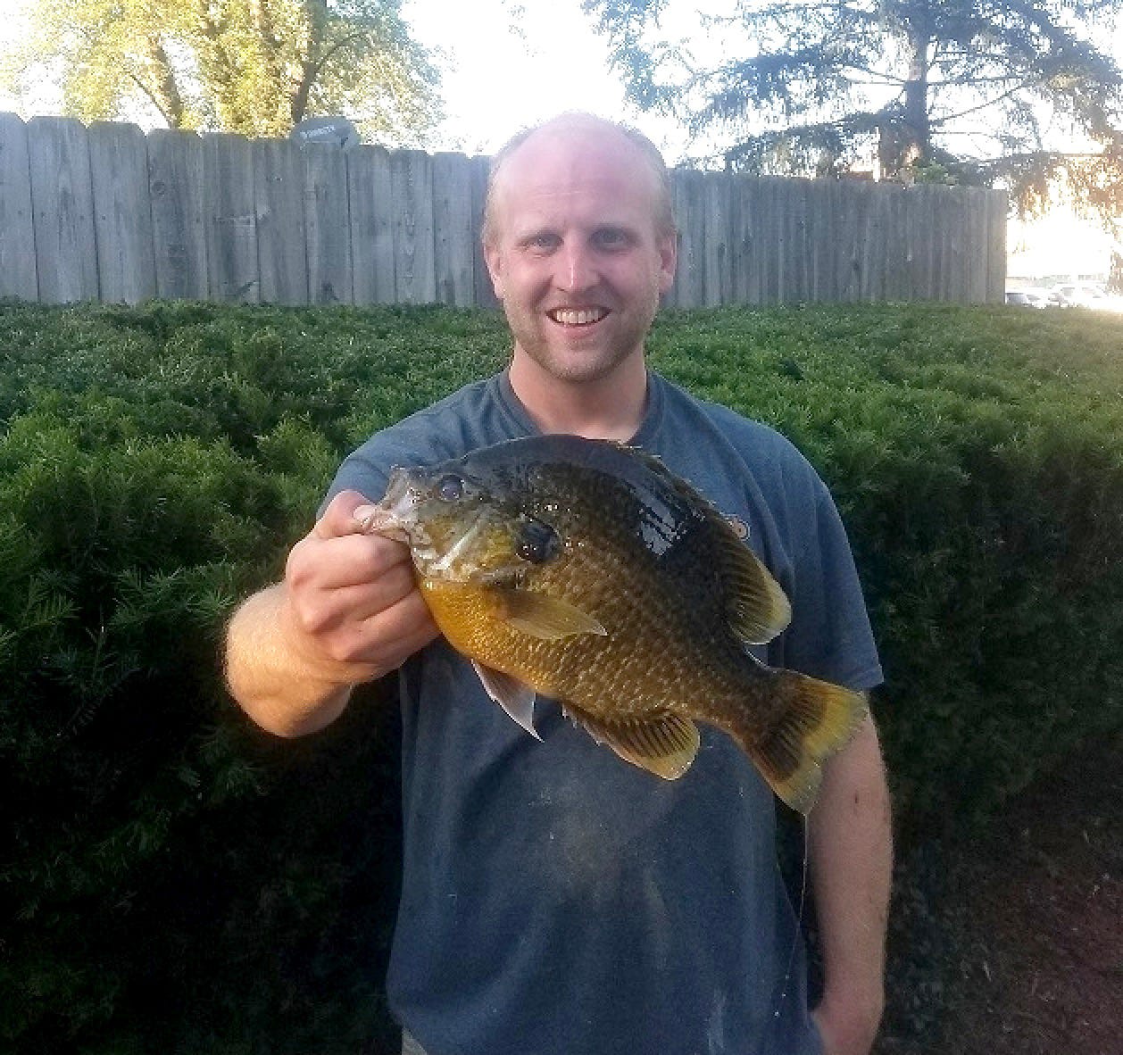 Biggest Bluegill In The World