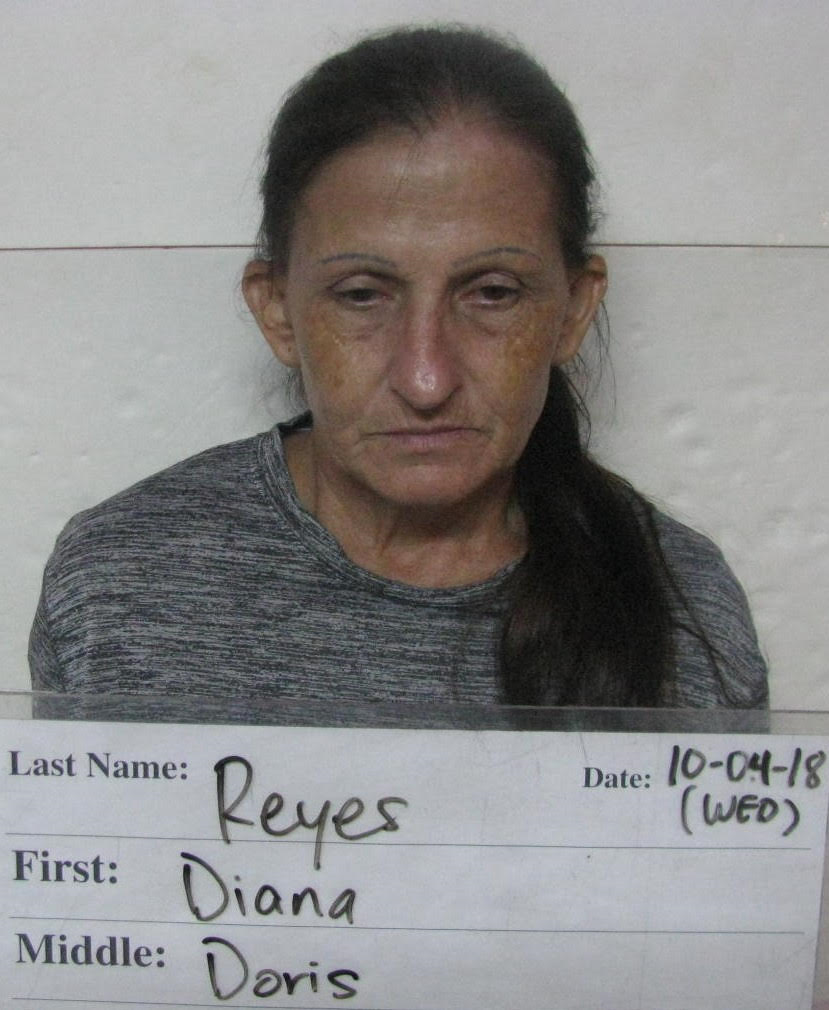 Barbara Reyes, Pricilla Cruz plead guilty in forged checks scheme