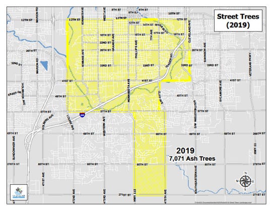 All ash trees removed from 14 Sioux Falls parks so far as part of EAB ...