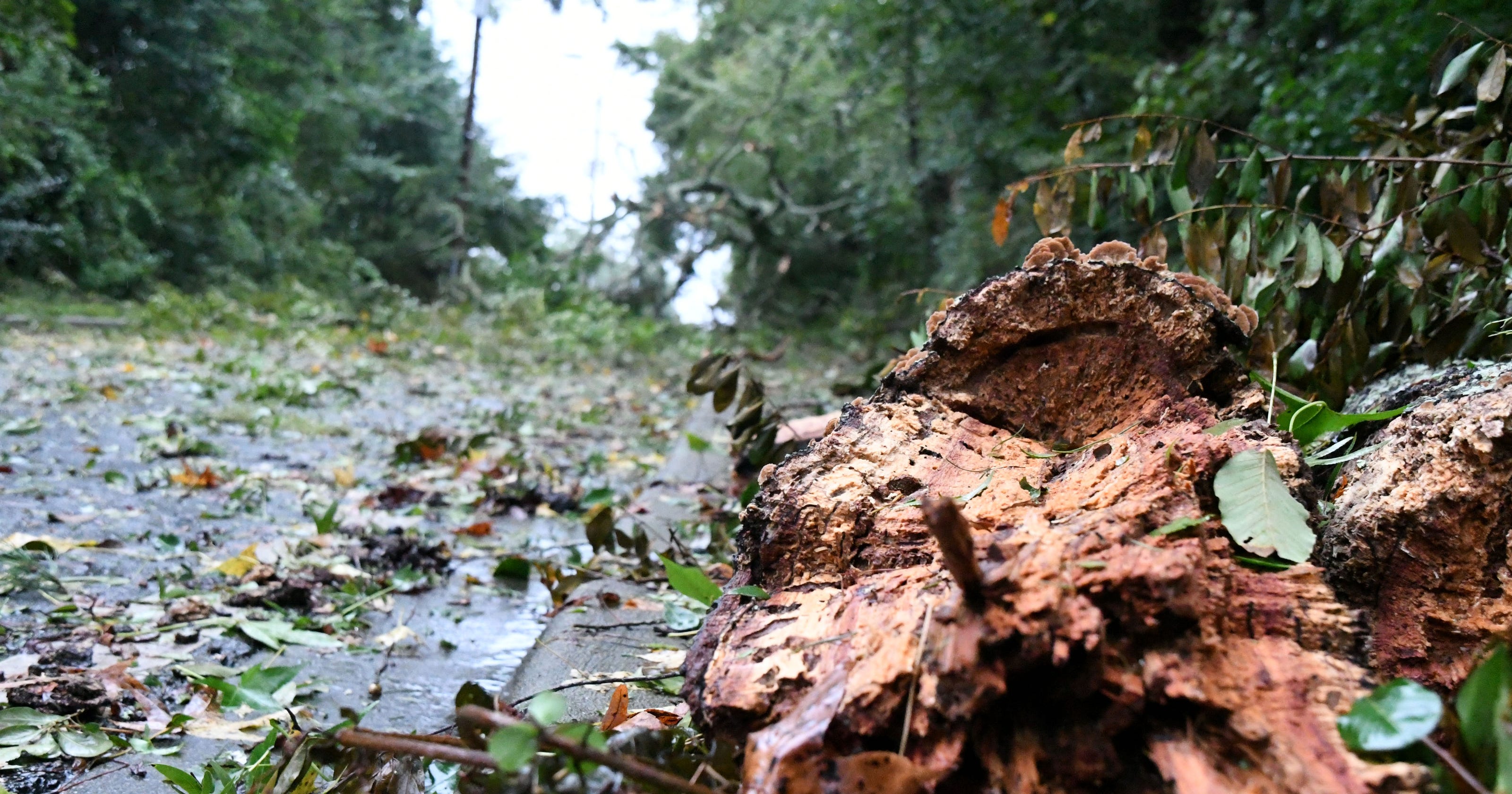 Damage Assessment Teams Start Evaluation Process For FEMA