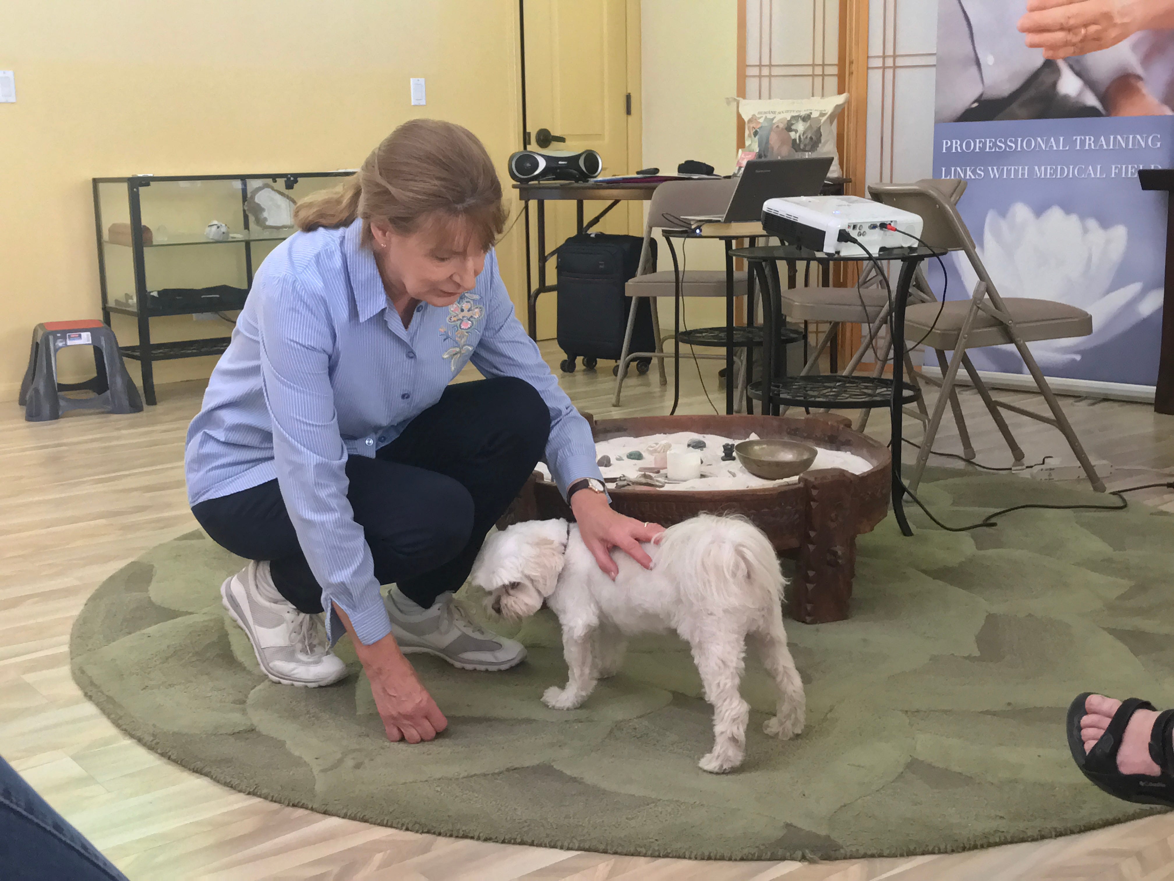 Animal healer from England visits Ojai, works with horses, companions