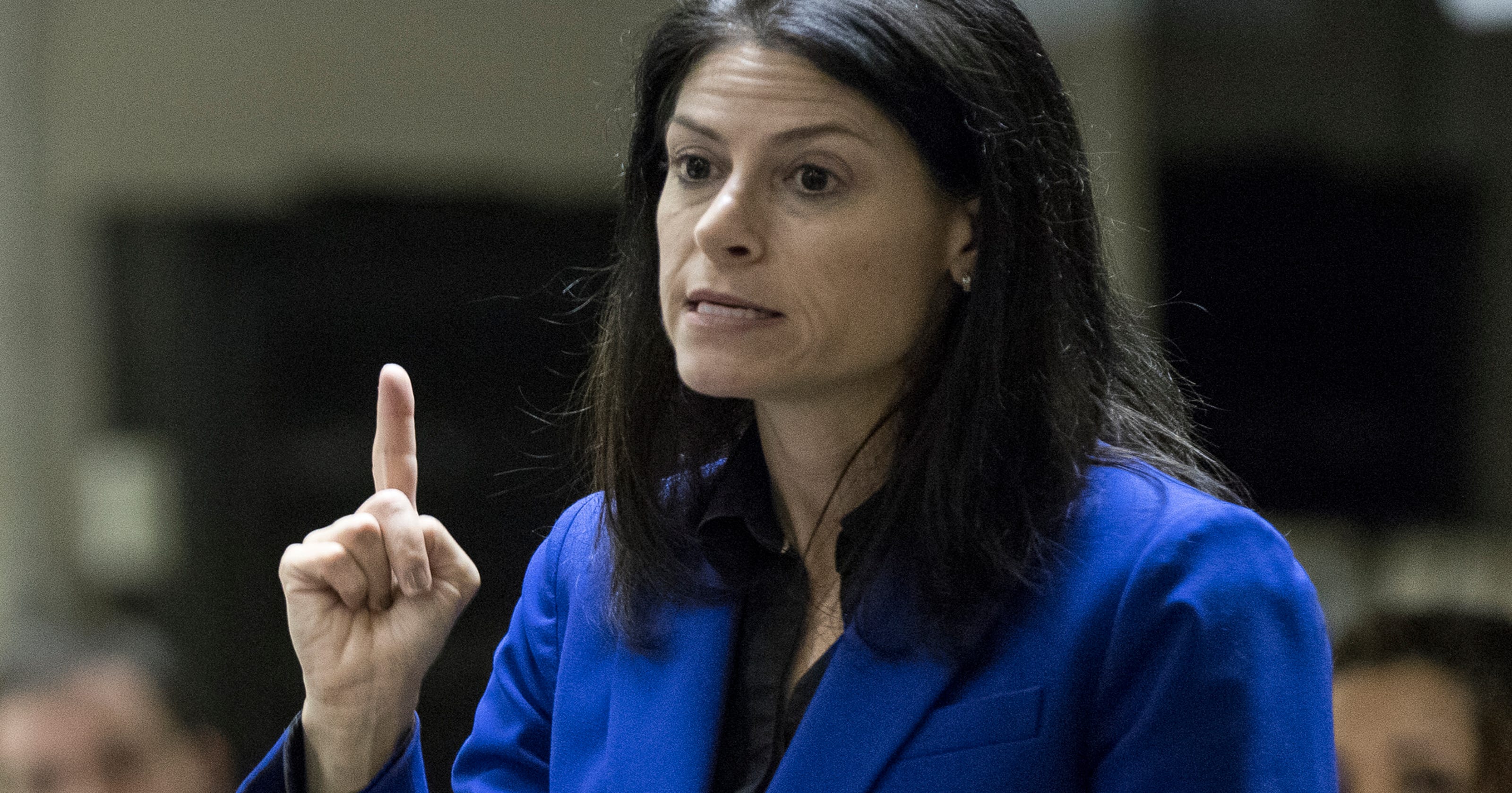 Endorsement: Dana Nessel for Michigan attorney general