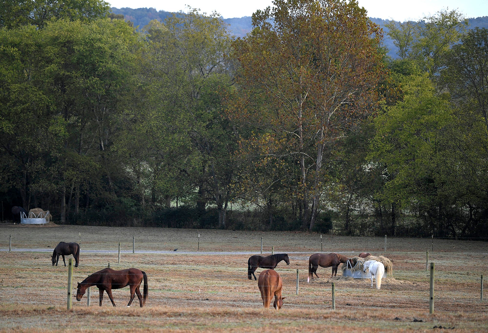 Tennessee elections: New governor Bill Lee hails from rural Fernvale