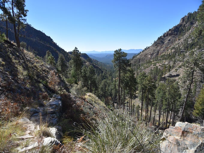 Payson, AZ, hike: Col. Devin Trail on the Mogollon Rim