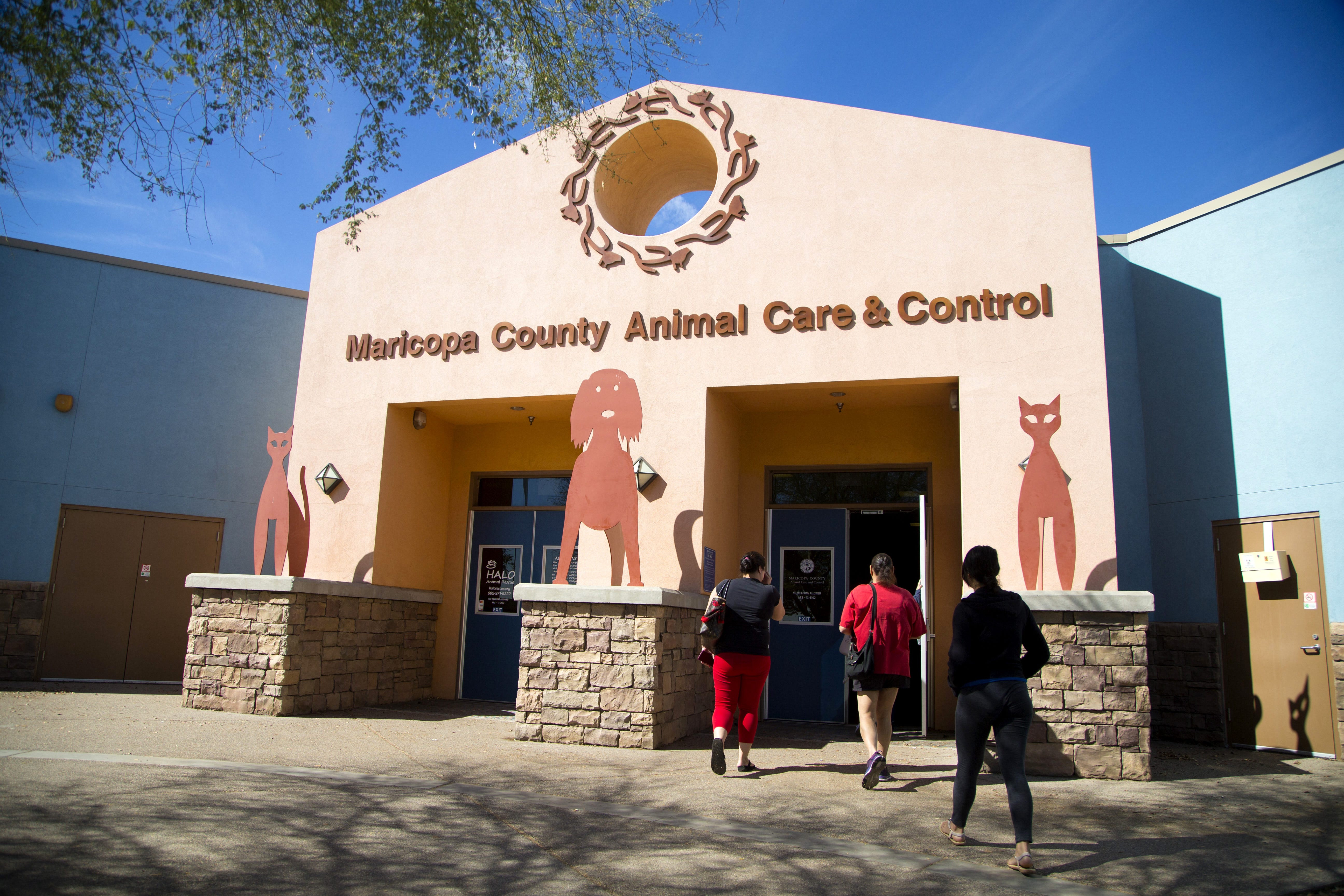 Maricopa County animal control director out after bullying complaints