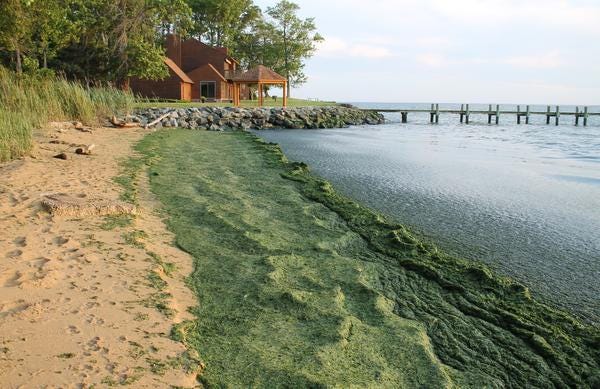 Climate change, 'runaway' pollution threaten US lakes and rivers