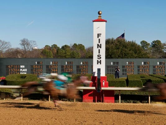 A breakdown of different horse racing track surfaces