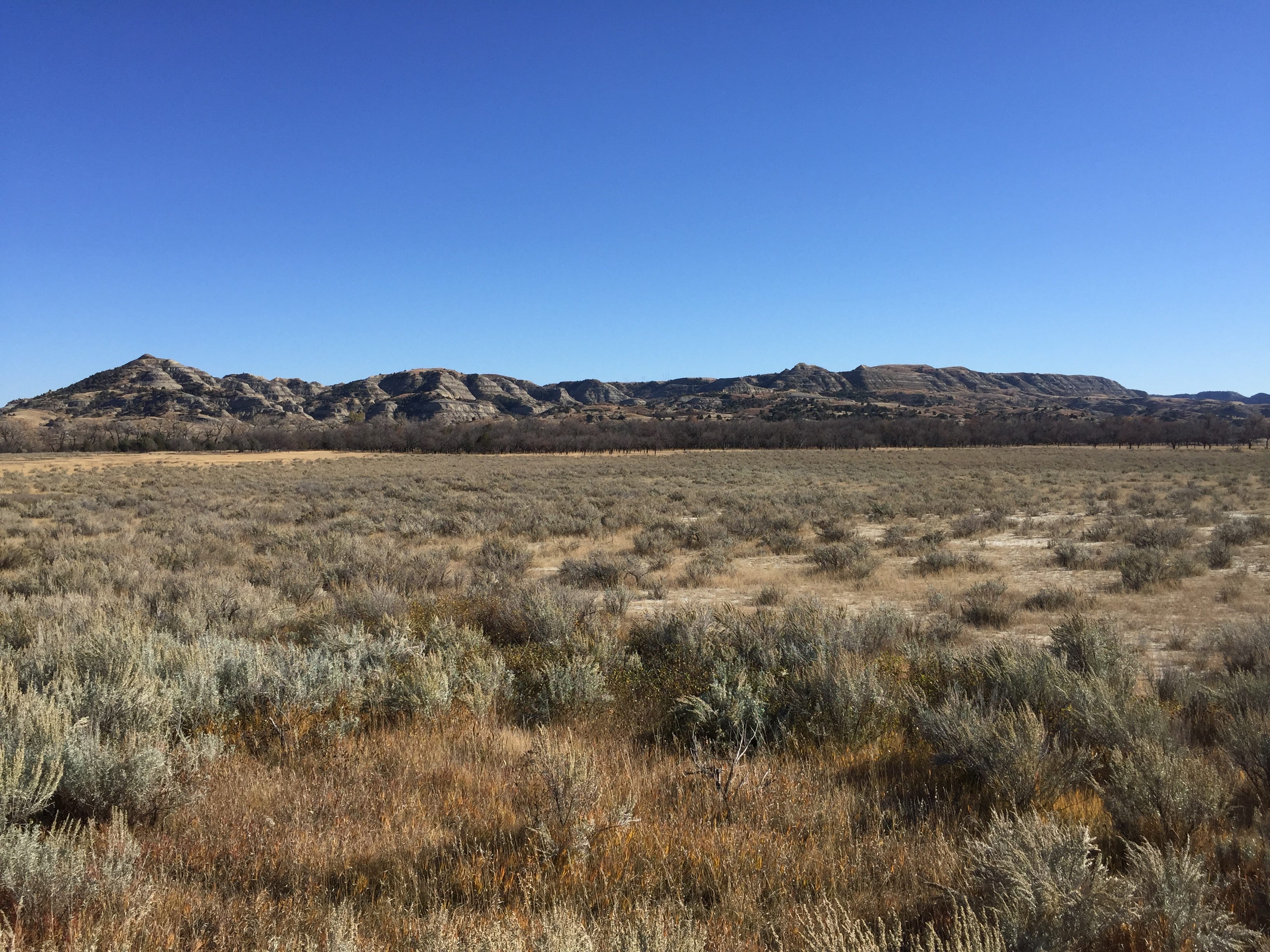 Theodore Roosevelt National Park, North Dakota’s hidden gem