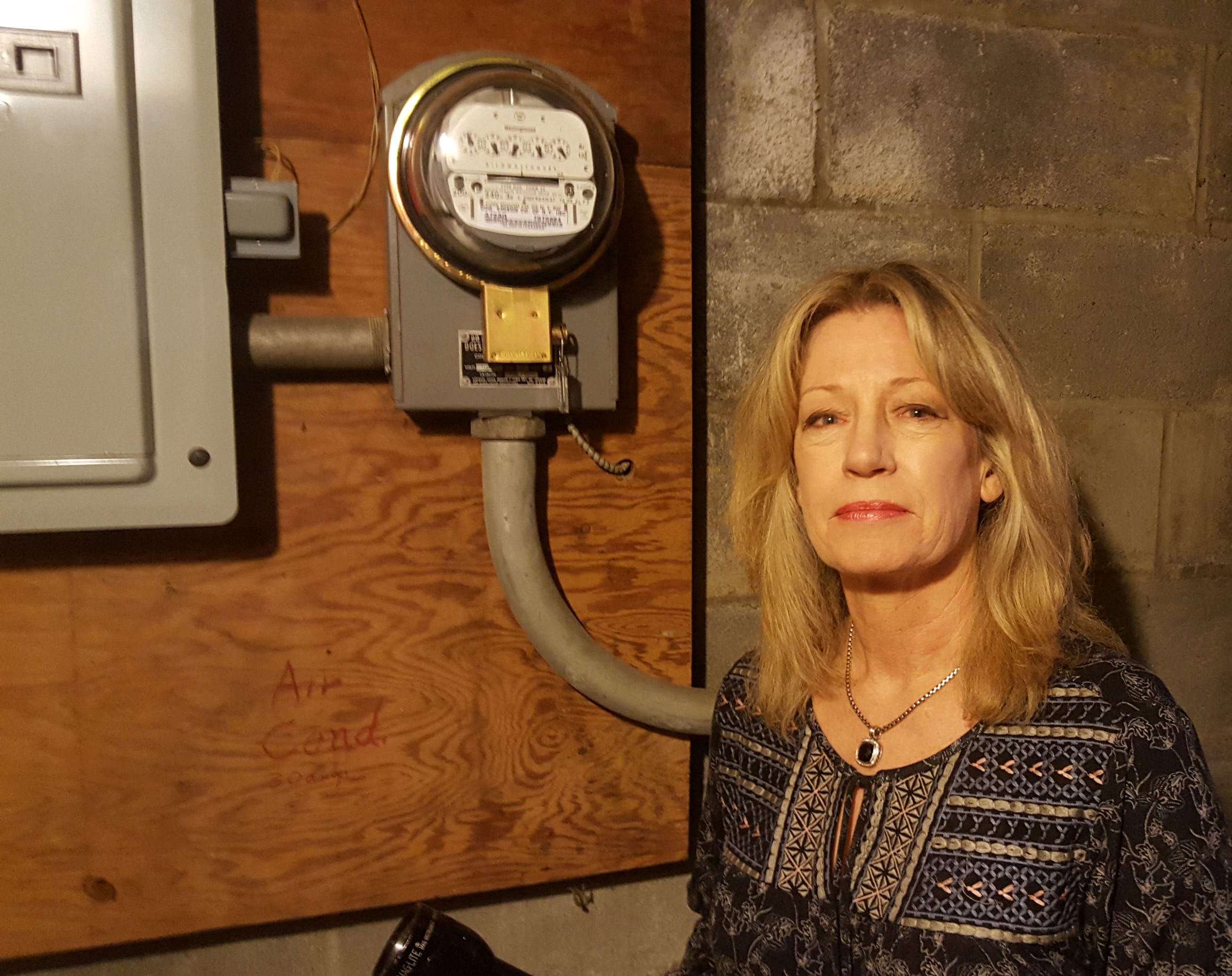 Smart meters pose privacy worries for homeowners