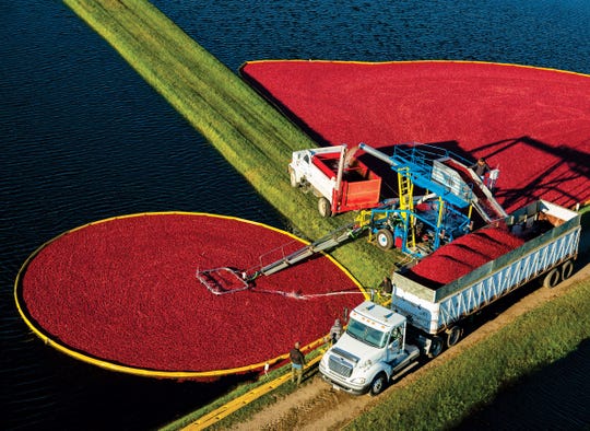 Wisconsin cranberry growers proud of the land and their work