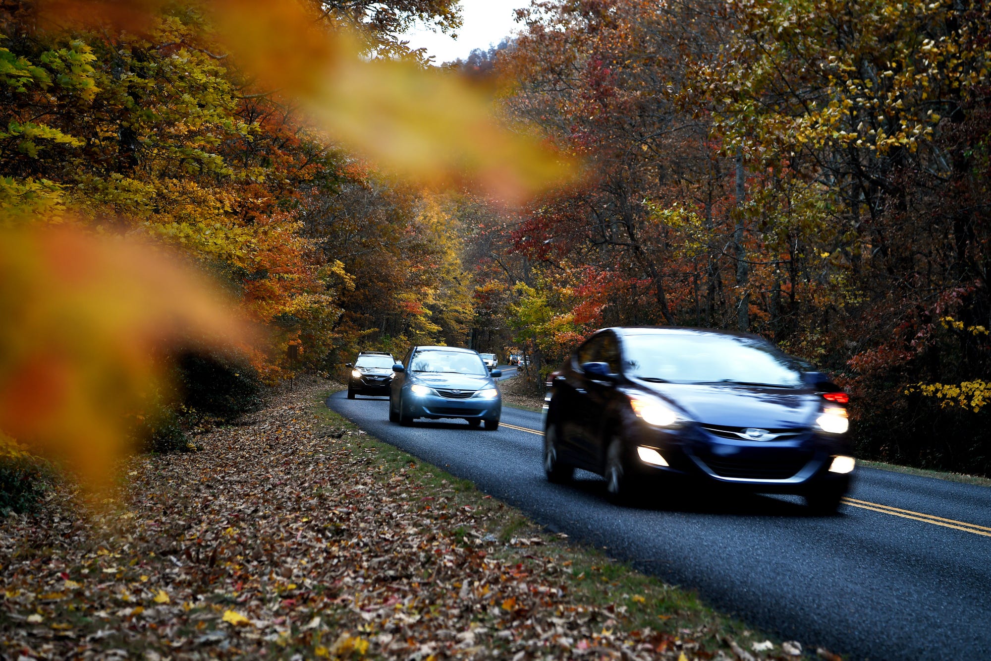 Peak fall foliage in WNC is behind schedule due to record heat
