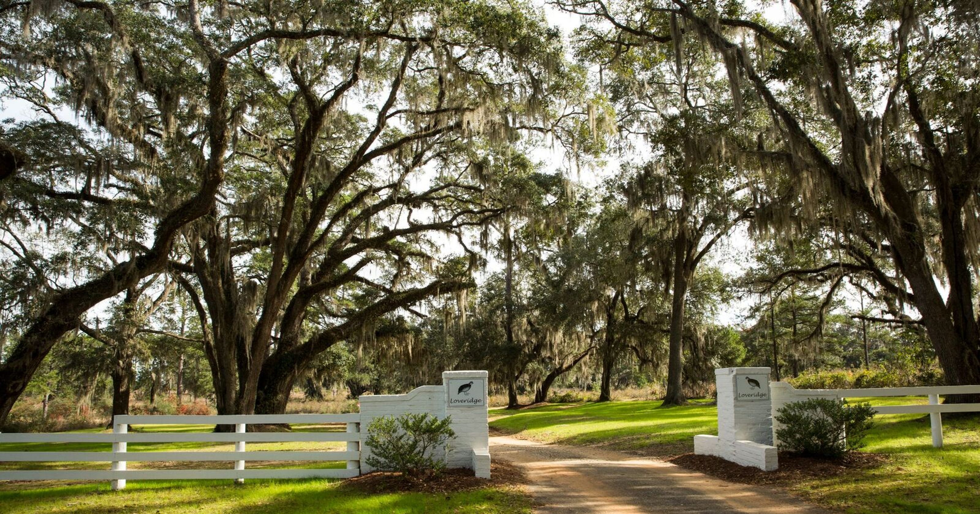 Hunt-ready Loveridge Plantation hits market for $29.6 million