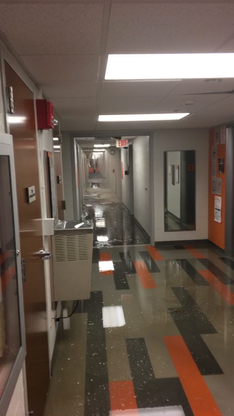 University of Tennessee's Clement Hall 7th floor reopens Wednesday
