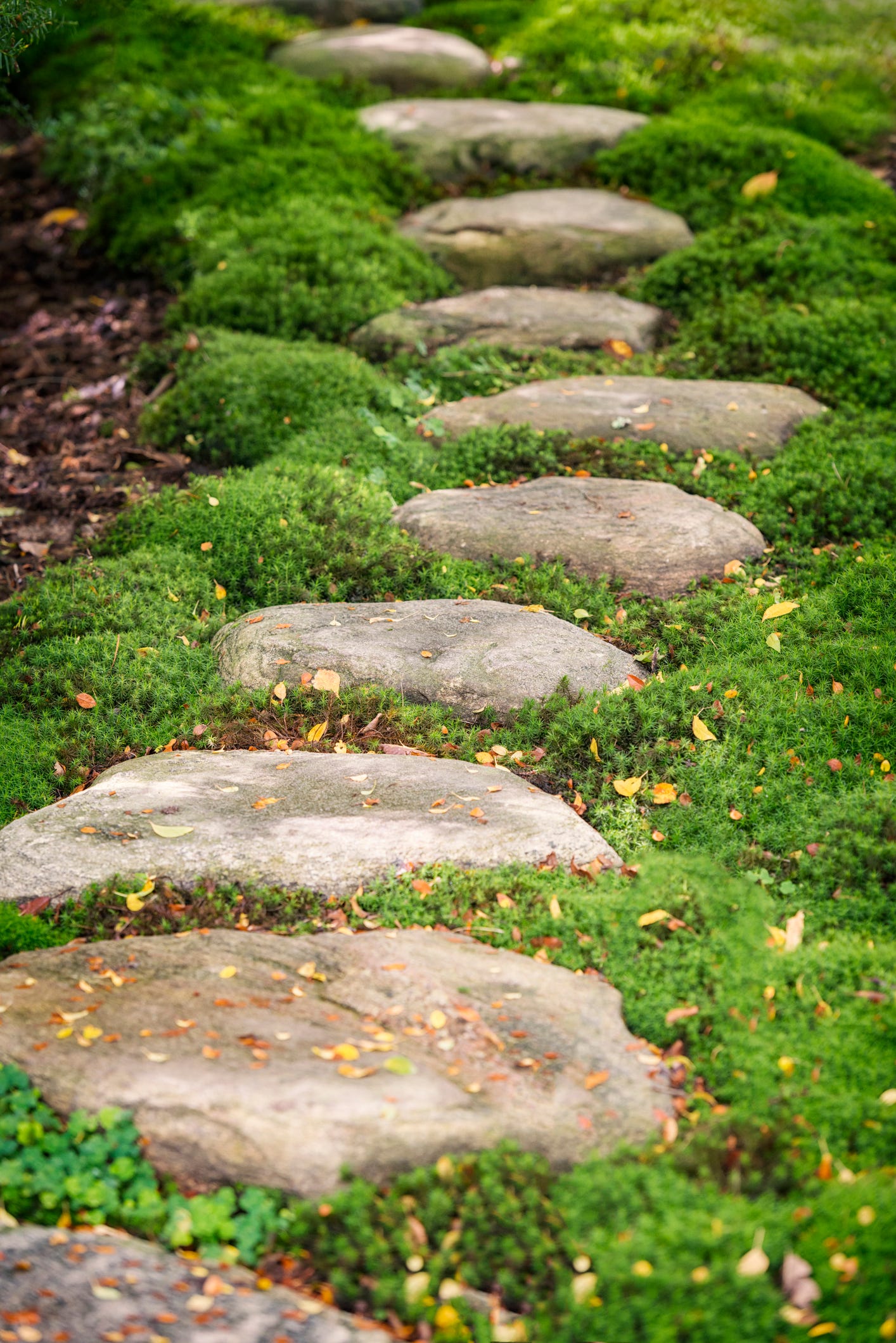 What is hardscape landscaping? 3 tips and ideas for the garden