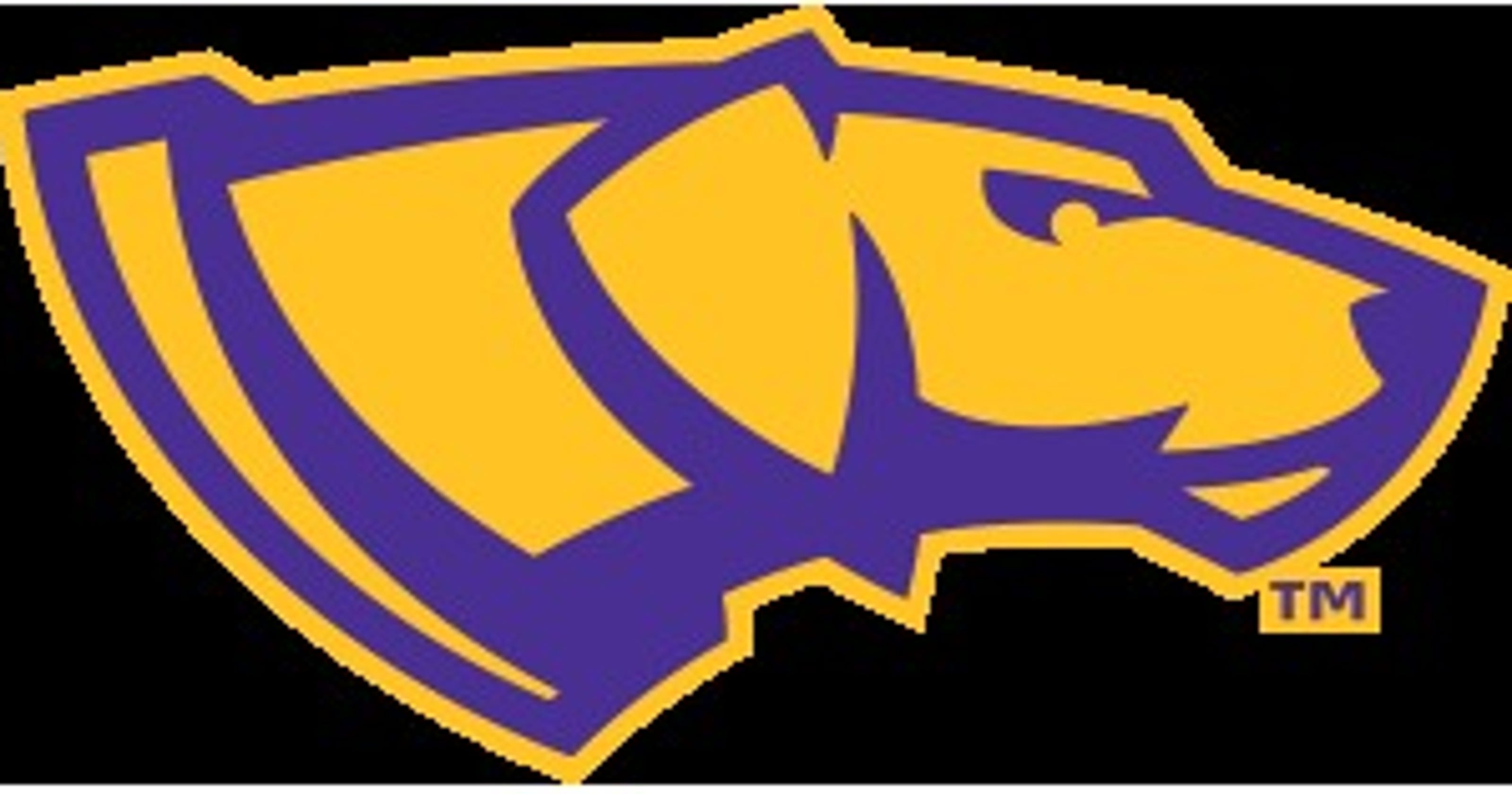 UWSP Hockey to host Teddy Bear Toss, athletes honors for efforts