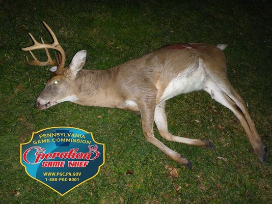 Pa. Game Commission says 8-point buck killed illegally in York County