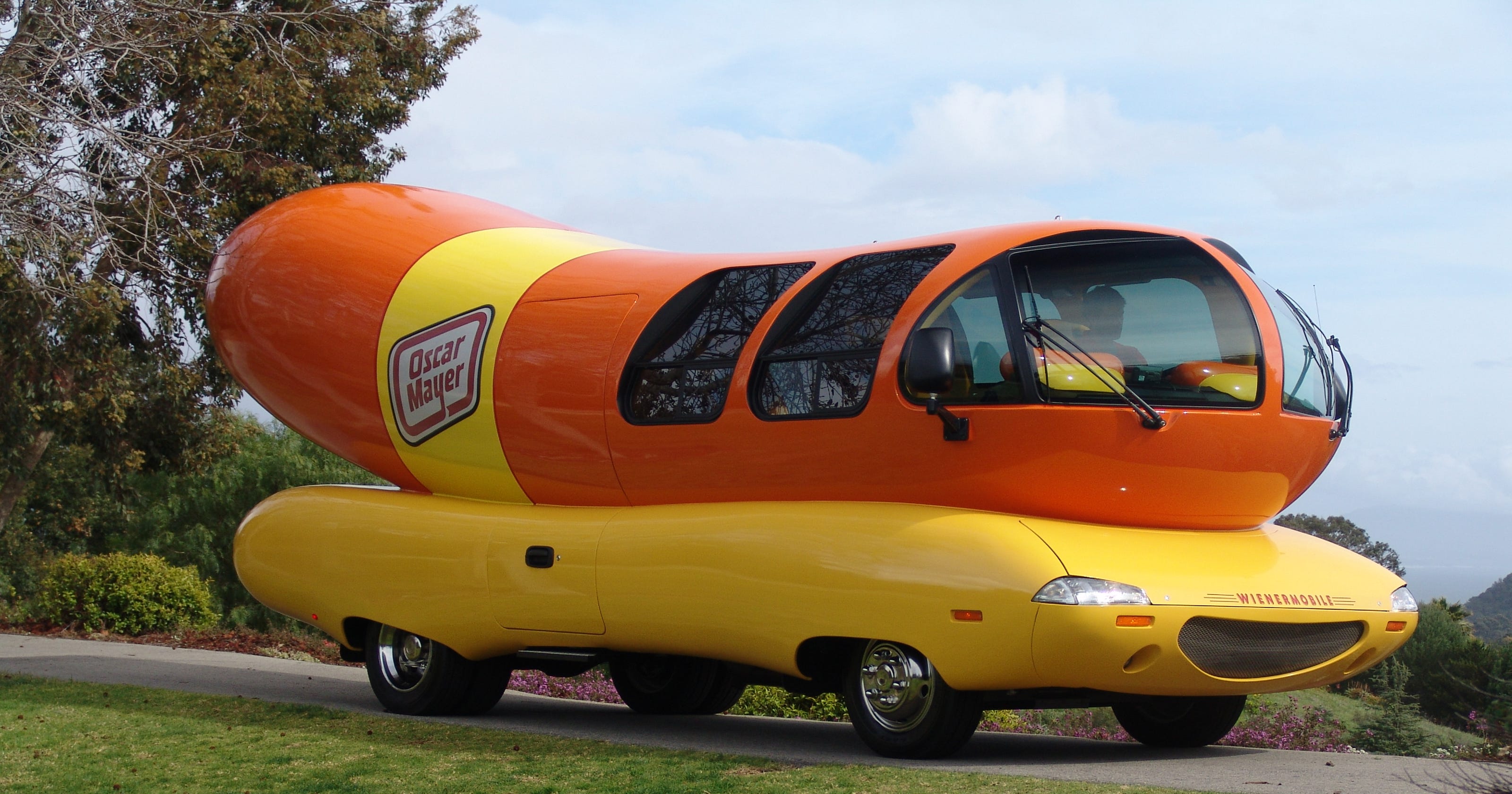 Back to the Oscar Mayer Wienermobile, Robin