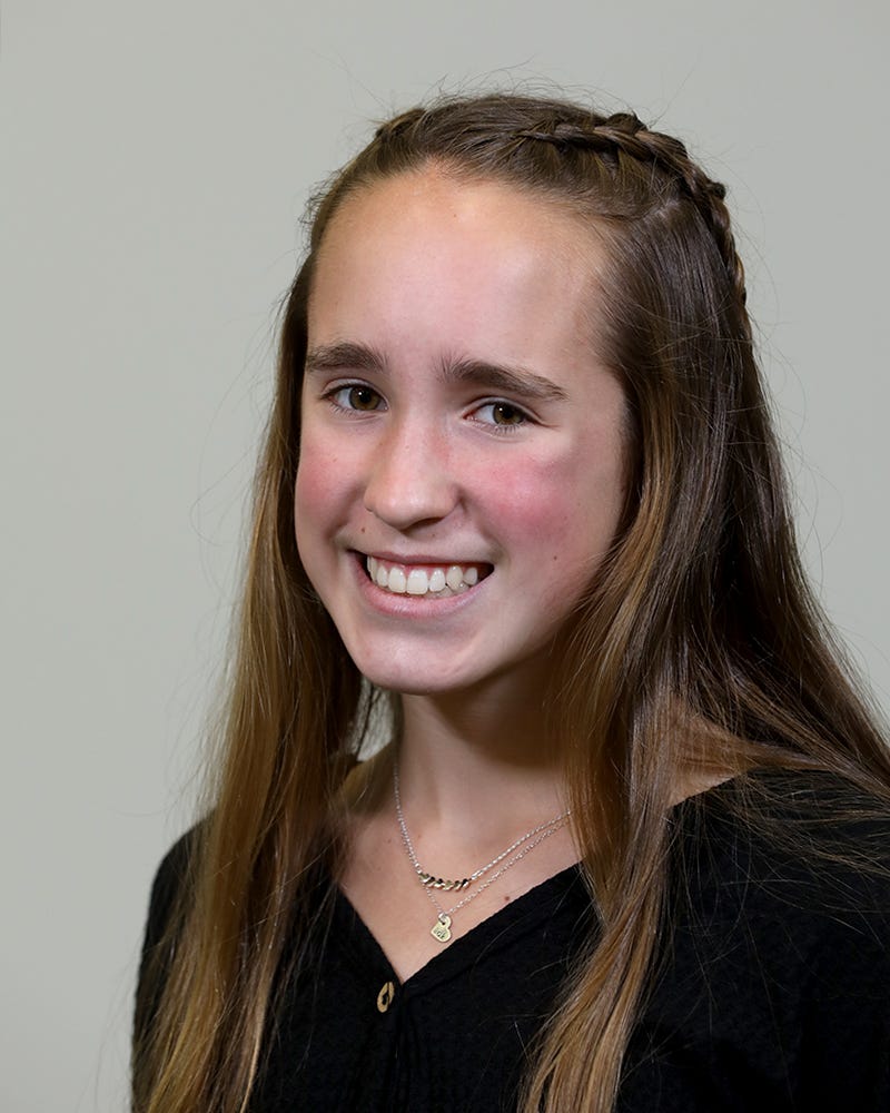 Cross country: Sam Lawler, Pittsford Sutherland girls win Section V titles